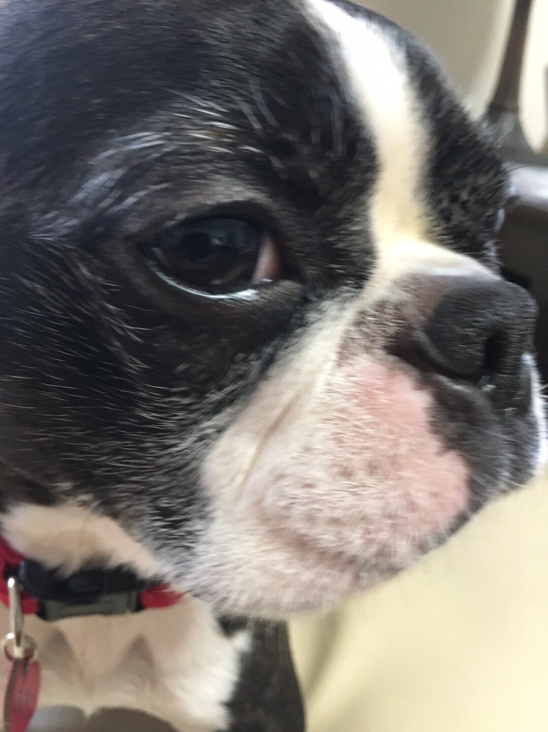 moja秋のページ | YAMAP / ヤマップ