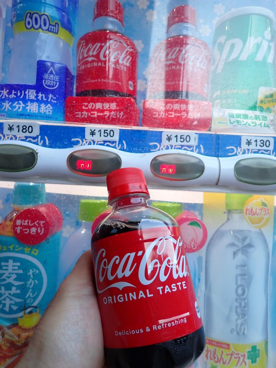 ヨモギノ頭・小雲取山・雲取山 / rioさんの雲取山・鷹ノ巣山・七ツ石山の活動データ | YAMAP / ヤマップ