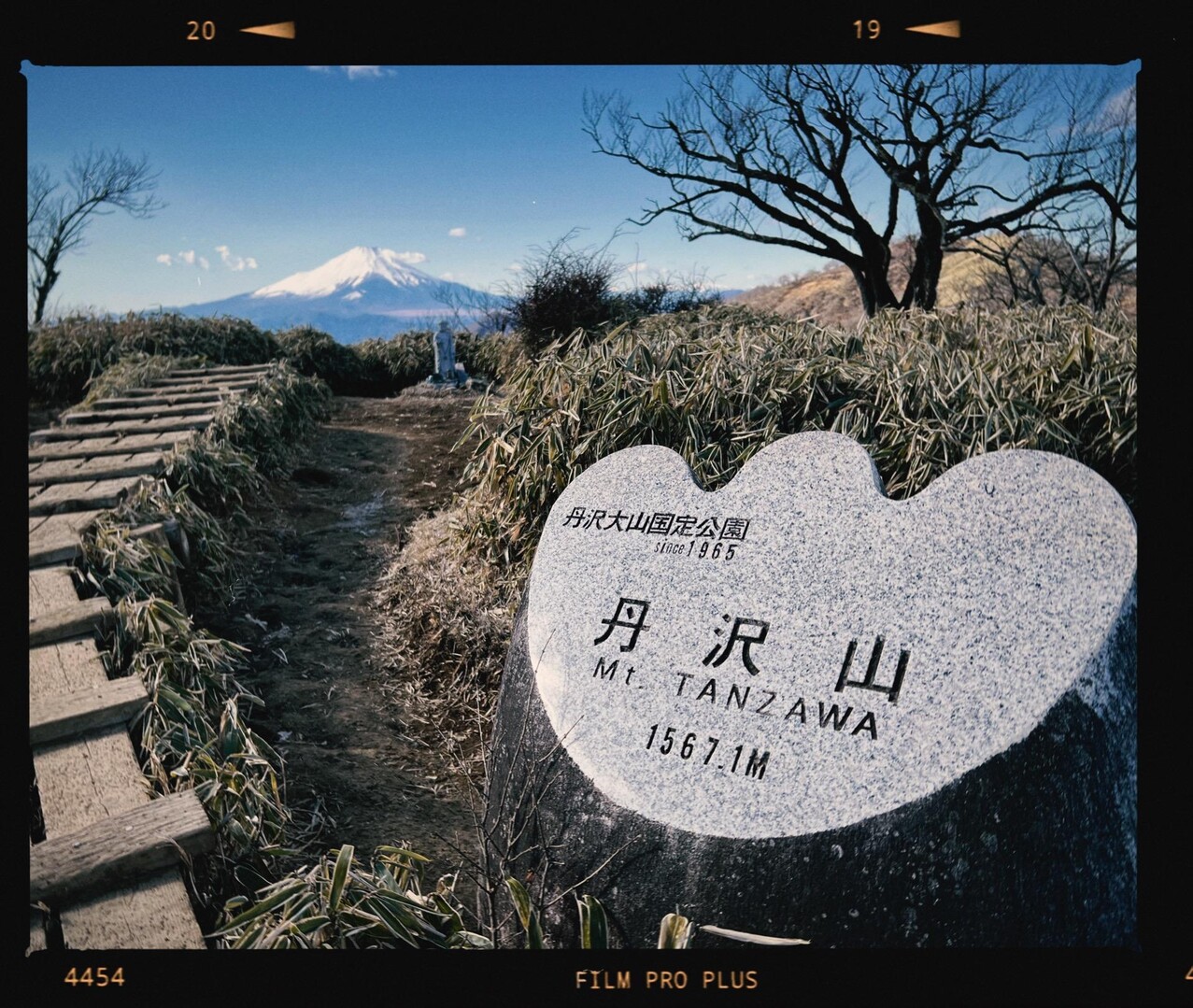 登り始めは丹沢山の少し先まで / publiusさんの塔ノ岳・丹沢山・蛭ヶ岳の活動データ | YAMAP / ヤマップ