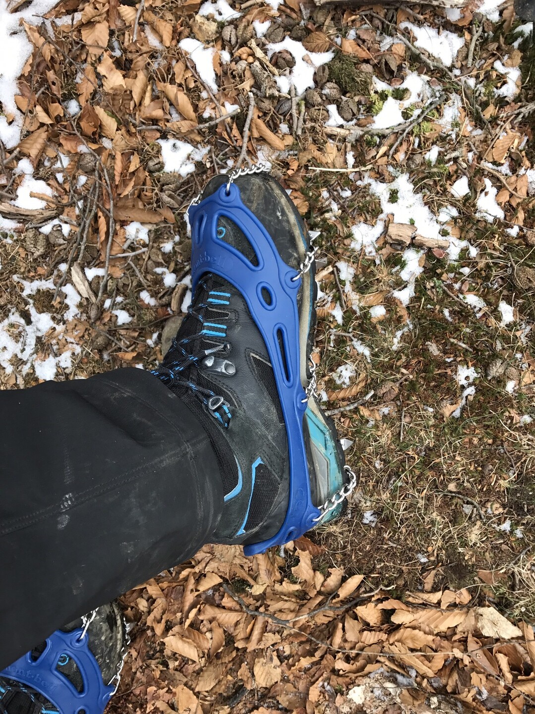 万二郎岳(天城山)・万三郎岳(天城山) / arukrさんの天城山・鉢ノ山・三筋山の活動データ | YAMAP / ヤマップ
