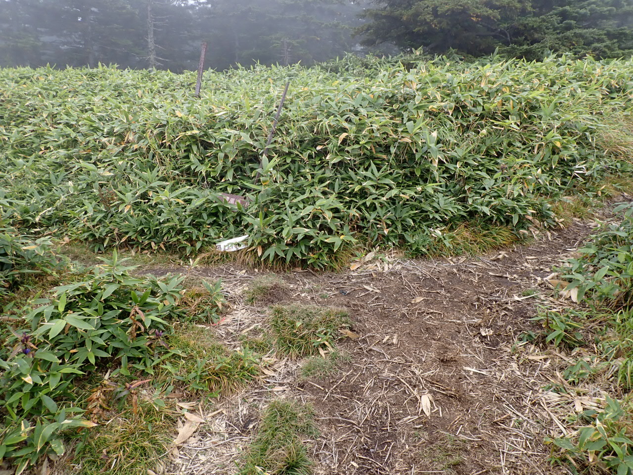 yudoburiさんの投稿したフィールドメモ | YAMAP / ヤマップ