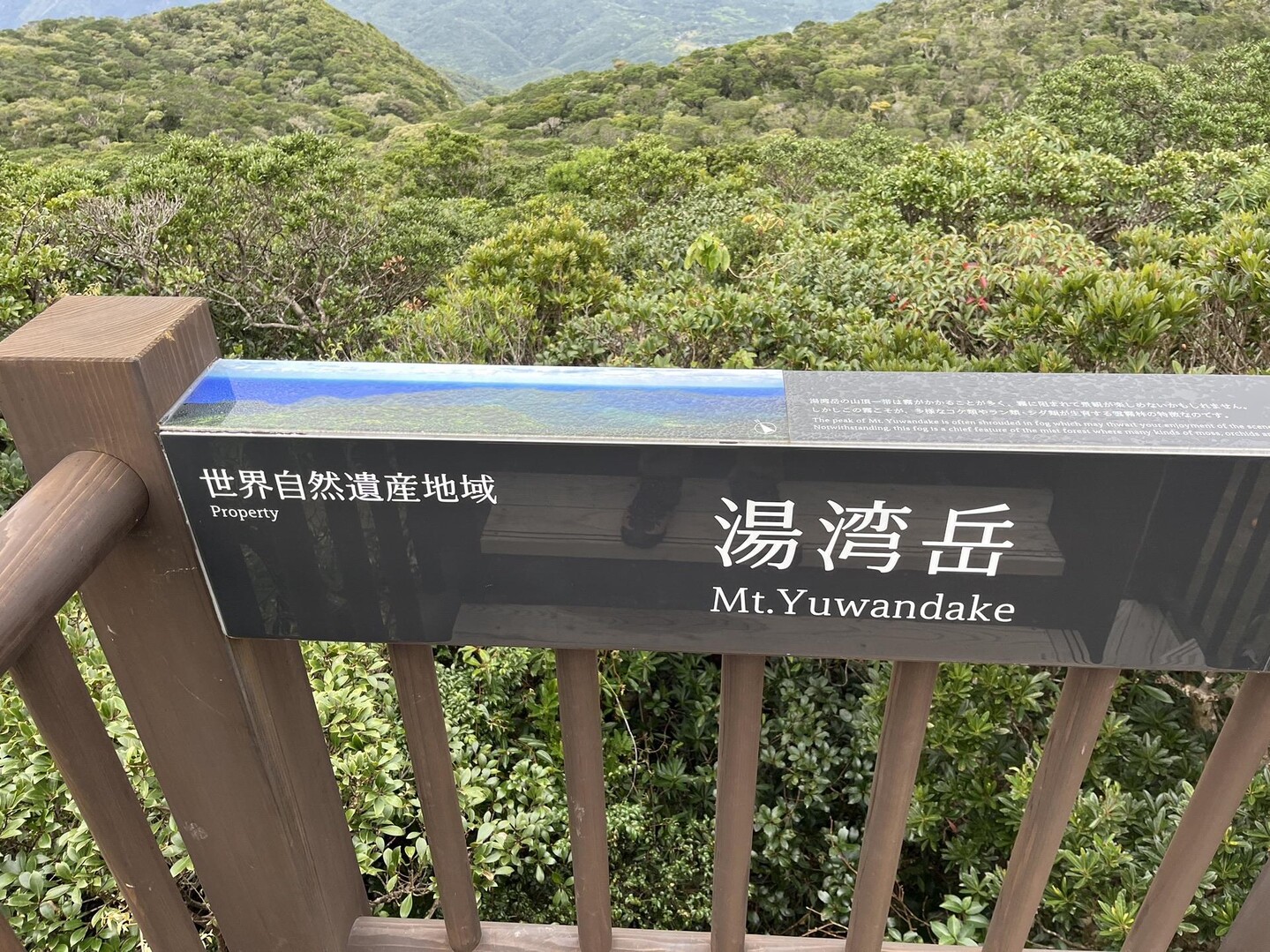 曇り小雨の湯湾岳 奄美 / jittaさんの奄美市・大和村・宇検村（奄美大島中部）の活動データ | YAMAP / ヤマップ