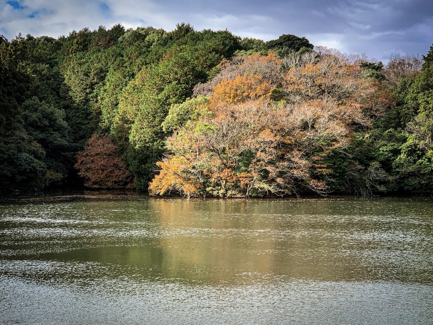 城ヶ浦山 ︎ 靡山 / masaroyさんの新立山（権現山）・城ヶ浦山・大平山の活動データ | YAMAP / ヤマップ