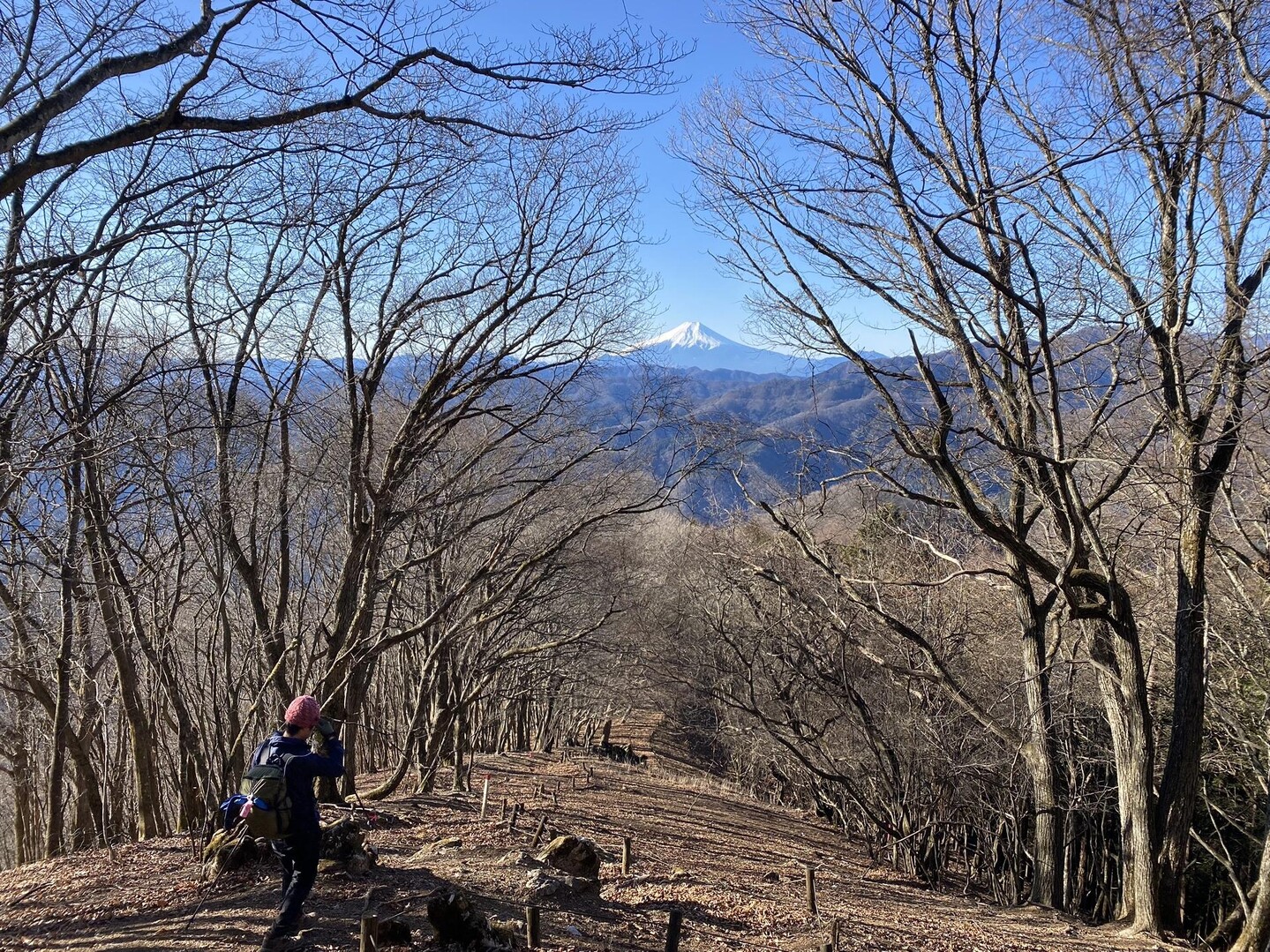 御前山とソーヤノ丸デッコ / Hase100さんの大岳山・御岳山・御前山の活動データ | YAMAP / ヤマップ
