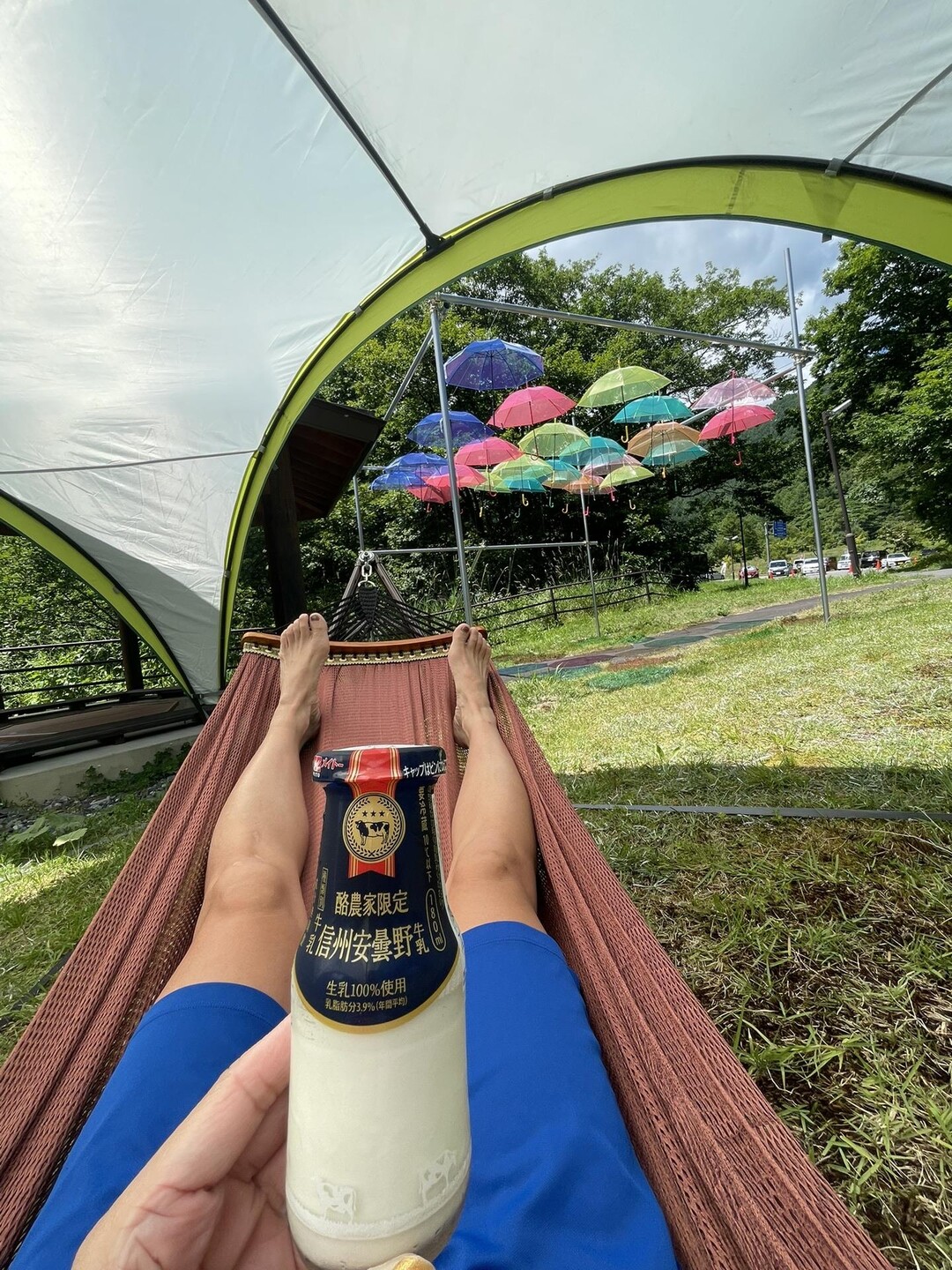 ランニング-2023-08-06 / kk_koro♌️さんのランニングの活動データ | YAMAP / ヤマップ