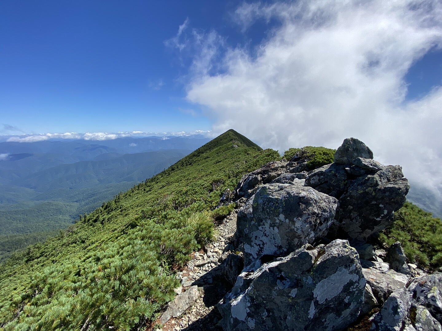 悠汰さんの投稿したフィールドメモ | YAMAP / ヤマップ
