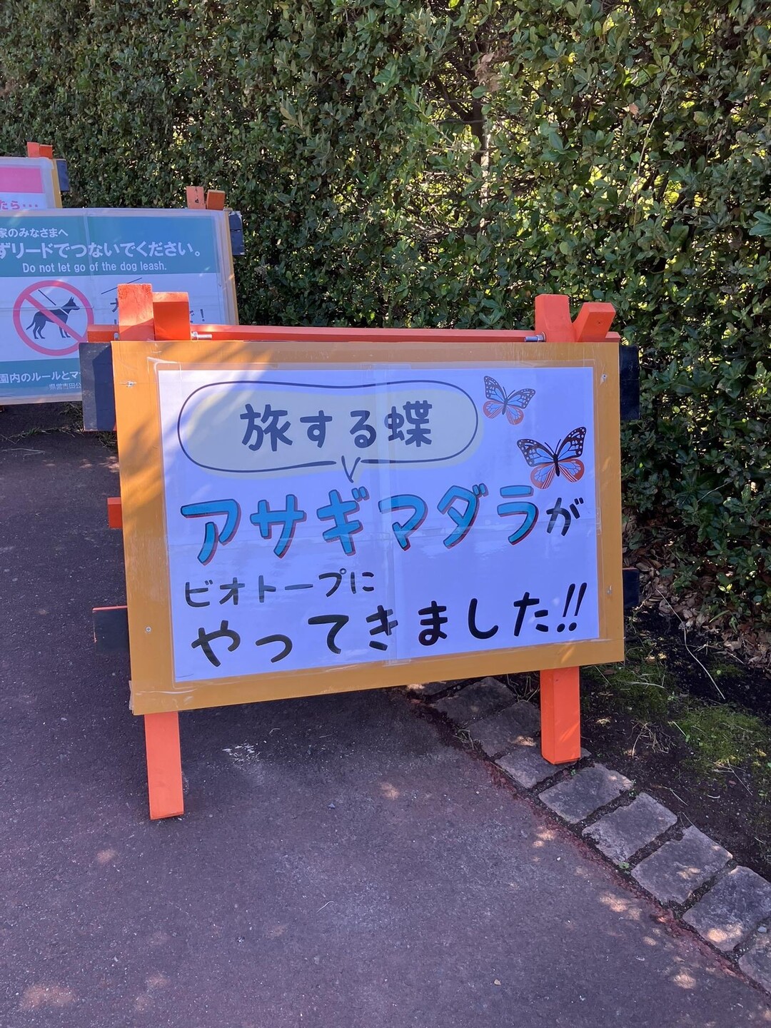アサギマダラをみたくて昼休みに吉田公園へ... / Rさんのモーメント | YAMAP / ヤマップ