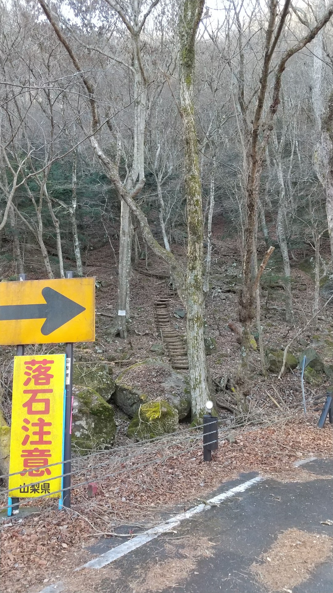 Hectorさんの投稿したフィールドメモ | YAMAP / ヤマップ