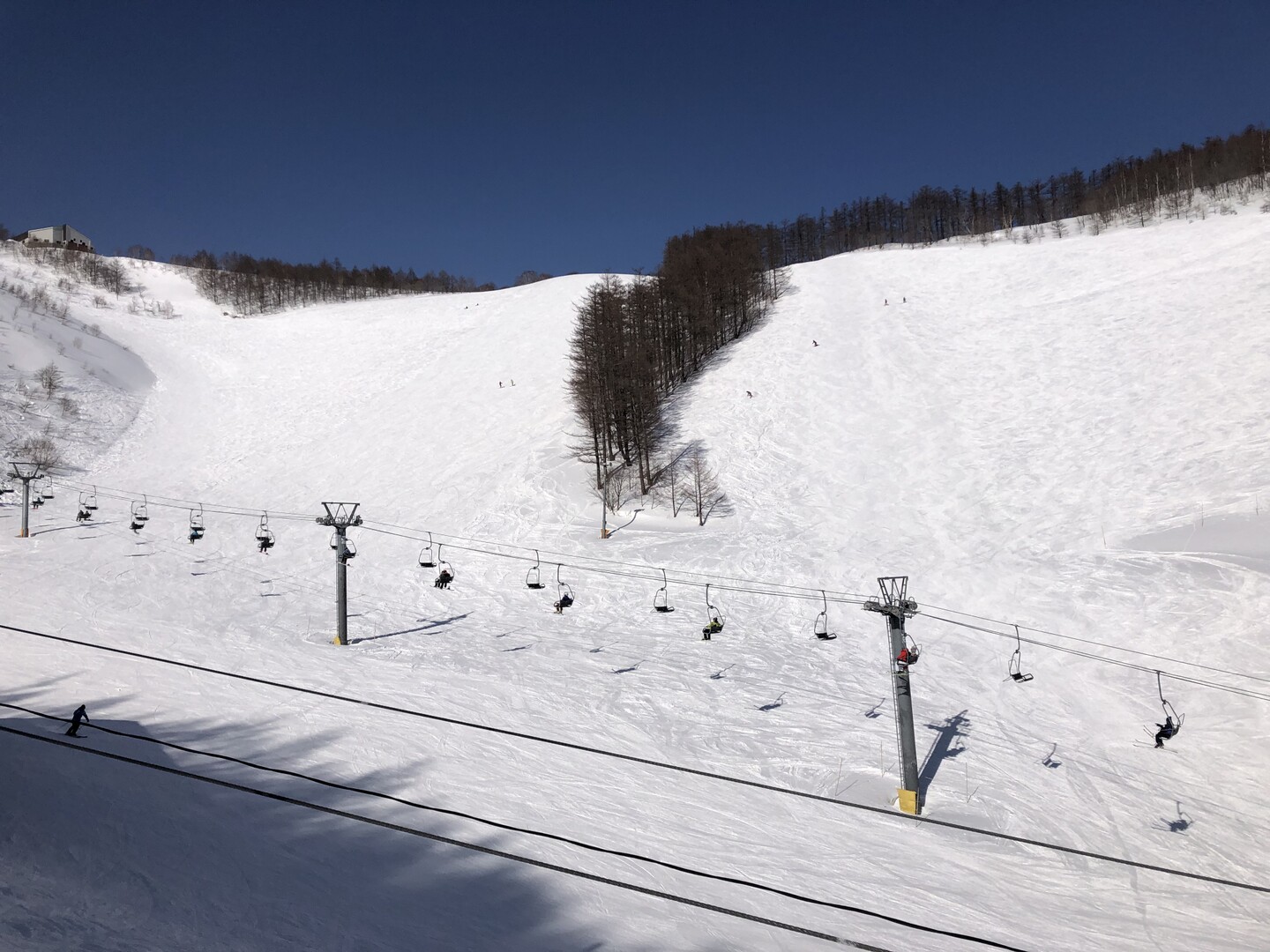 ski⛷-2021-02-28 オグナほ... / スキーヤーKさんのモーメント | YAMAP / ヤマップ