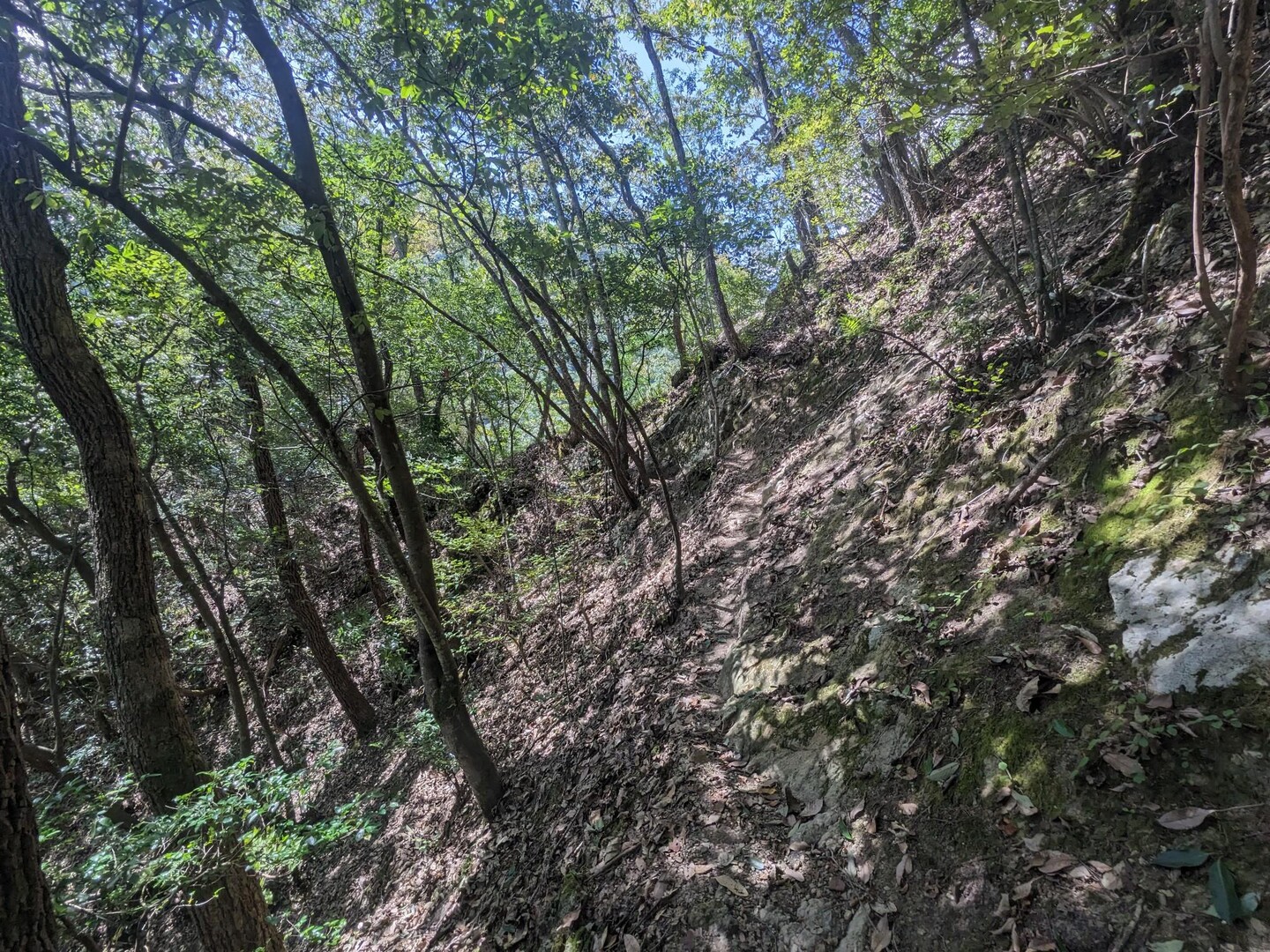 芸備線(伯備線)Jog新見～布原～備中神代22K往復 / ランニングの写真59枚目 / なるほどね 俯瞰か | YAMAP / ヤマップ