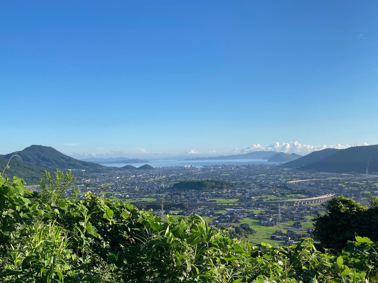 龍王宮（234回目） / 3104（YUKAKO）さんの六ッ目山・堂山・伽藍山の活動データ | YAMAP / ヤマップ