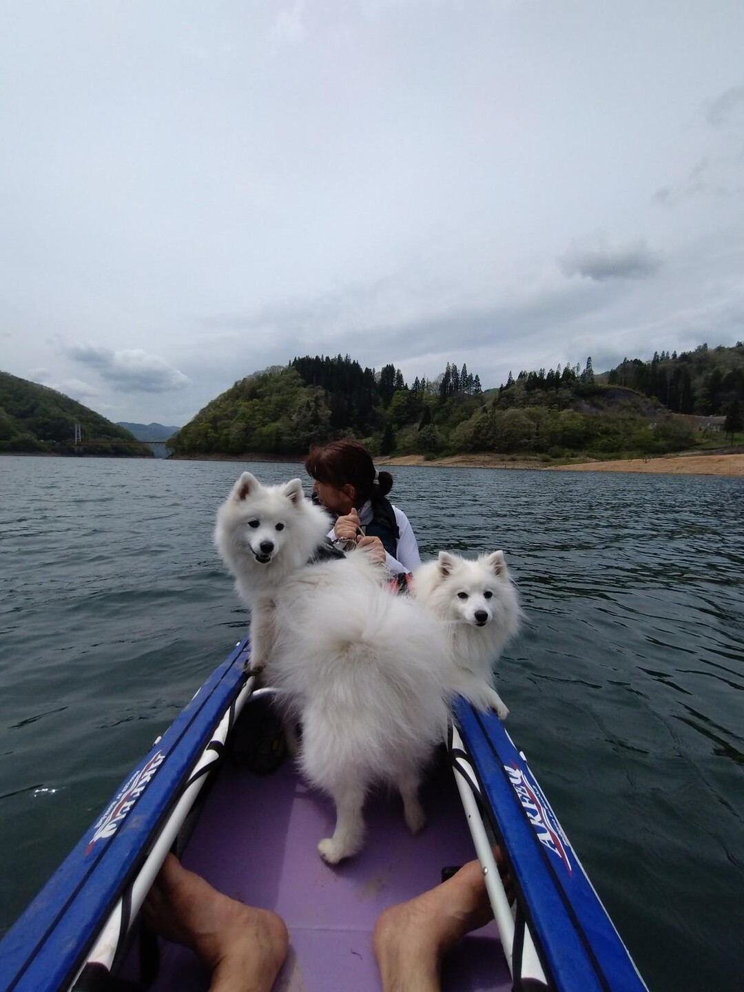 久しぶりのカヤックツーリング🛶 更に超... / issa.さんのモーメント | YAMAP / ヤマップ
