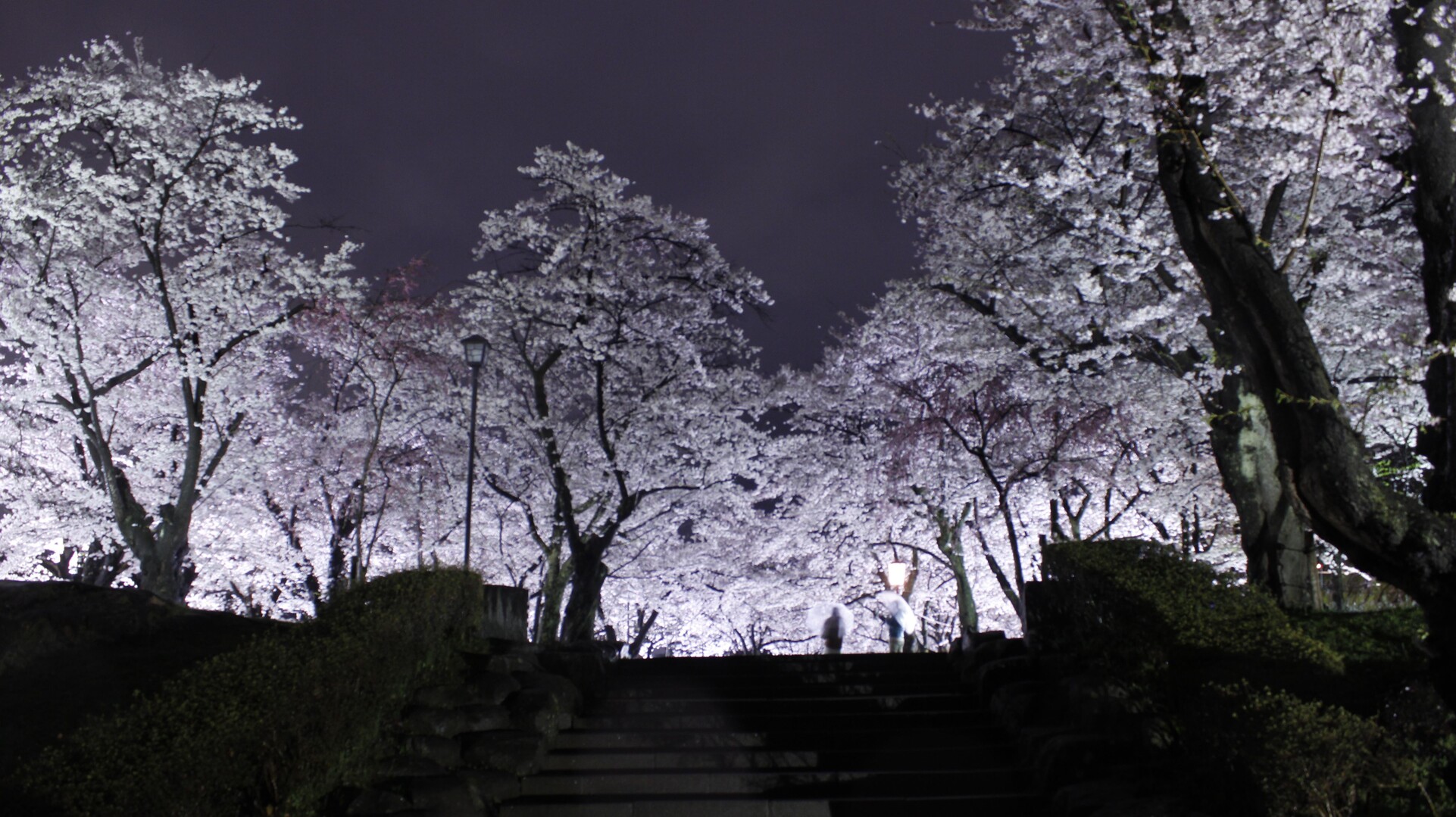 9日間続いた晴天も終わり、今度は雨が続く... / Einsさんのモーメント | YAMAP / ヤマップ