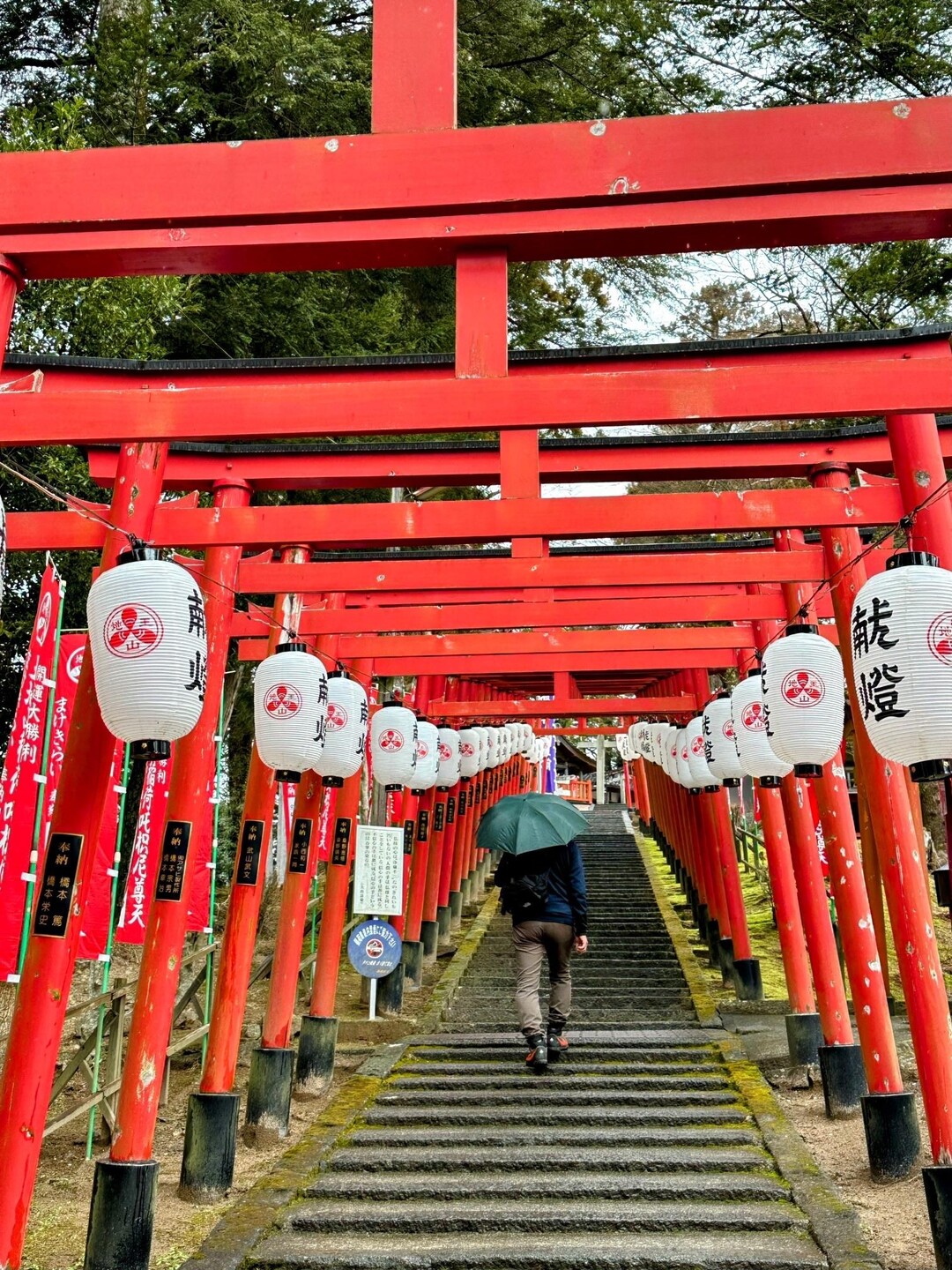 グリコ遊びが出来そうな🎶王地山 / たーひー ️⛄さんの高城山の活動日記 | YAMAP / ヤマップ