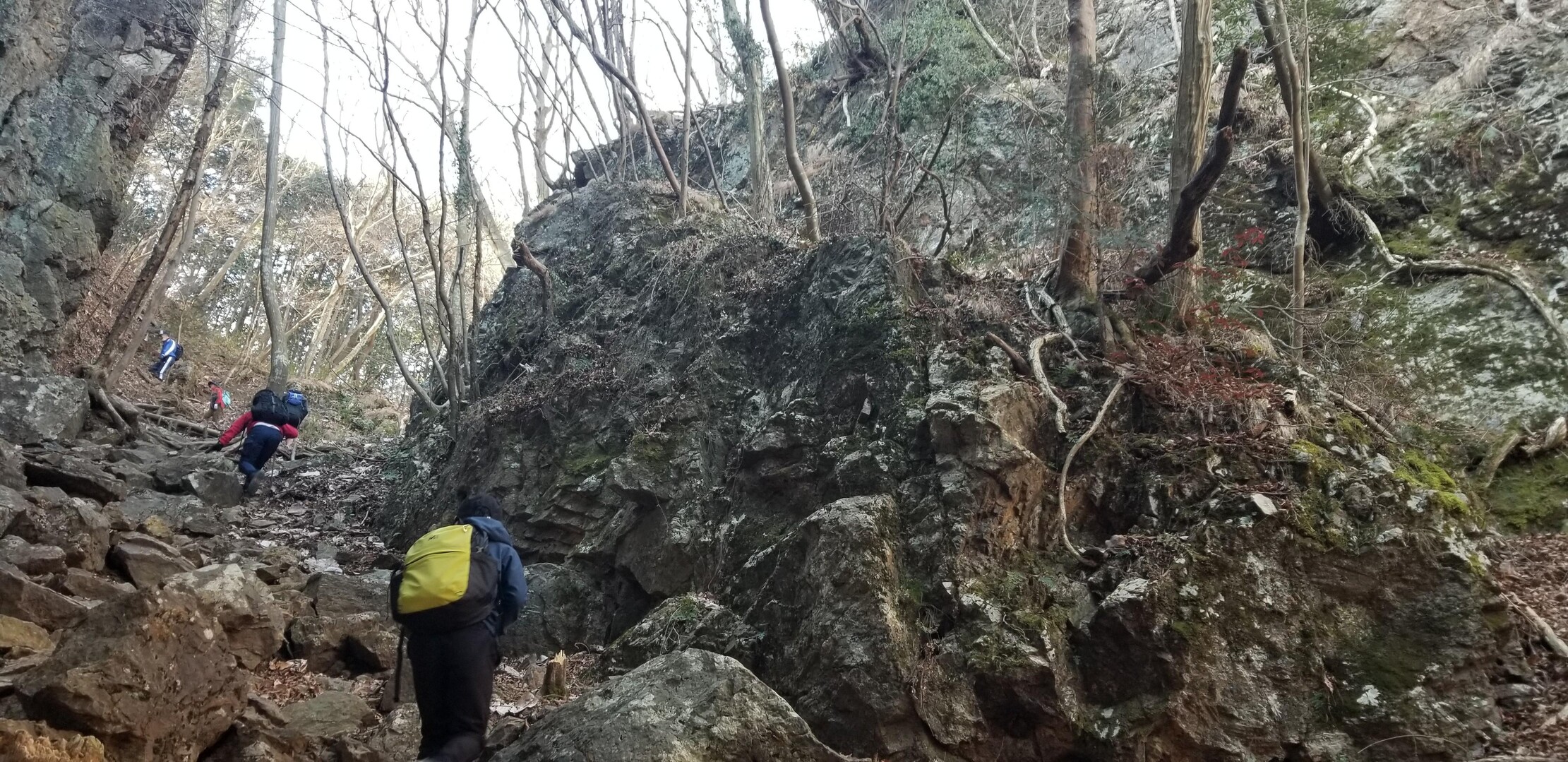 古賀志山・坊主山 / kiyo-omさんの古賀志山・赤岩山・鞍掛山・男抱山・半蔵山の活動データ | YAMAP / ヤマップ