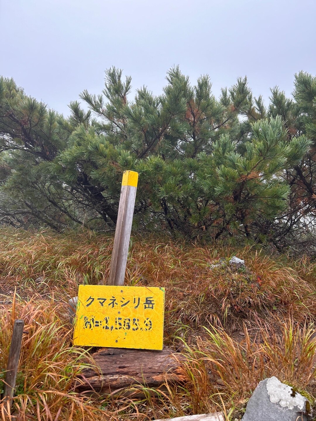 クマネシリ岳 / Ezo1さんのクマネシリ岳の活動データ | YAMAP / ヤマップ