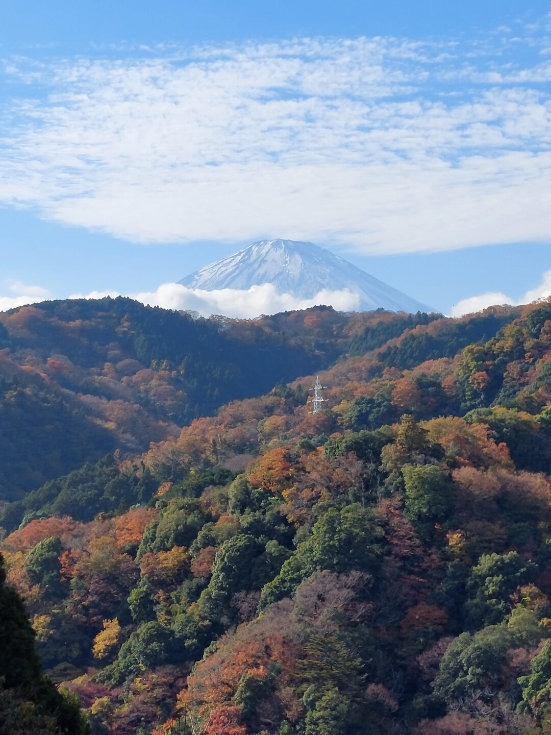 大野山 / yamasanさんの高松山・大野山の活動データ | YAMAP / ヤマップ