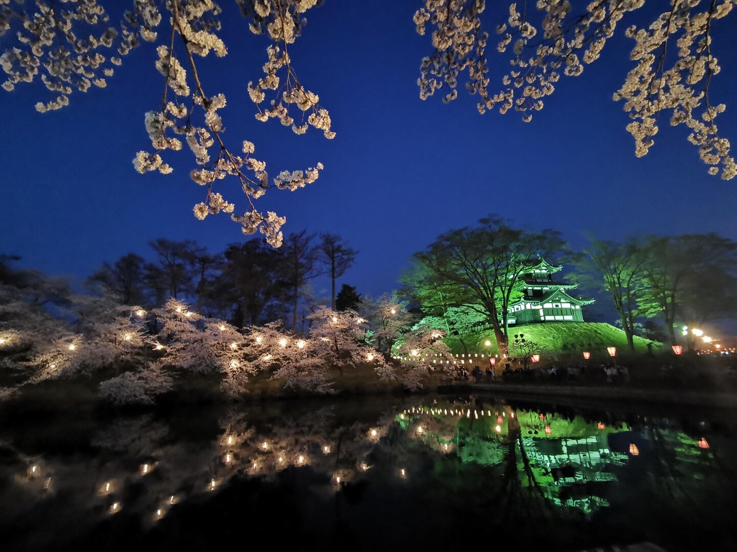 日本三大夜桜 高田城址公園 / やじん1978さんの上越市の活動データ | YAMAP / ヤマップ
