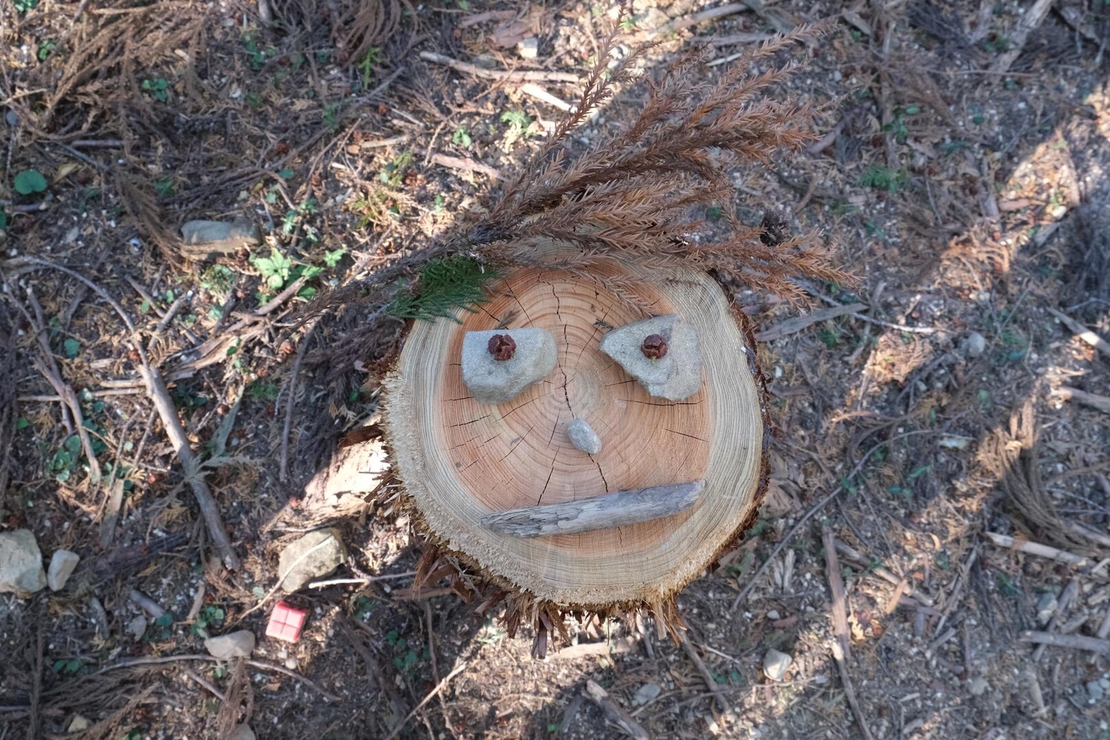 高水山・岩茸石山・馬仏山・惣岳山 / akkoさんの高水山・岩茸石山・惣岳山の活動データ | YAMAP / ヤマップ