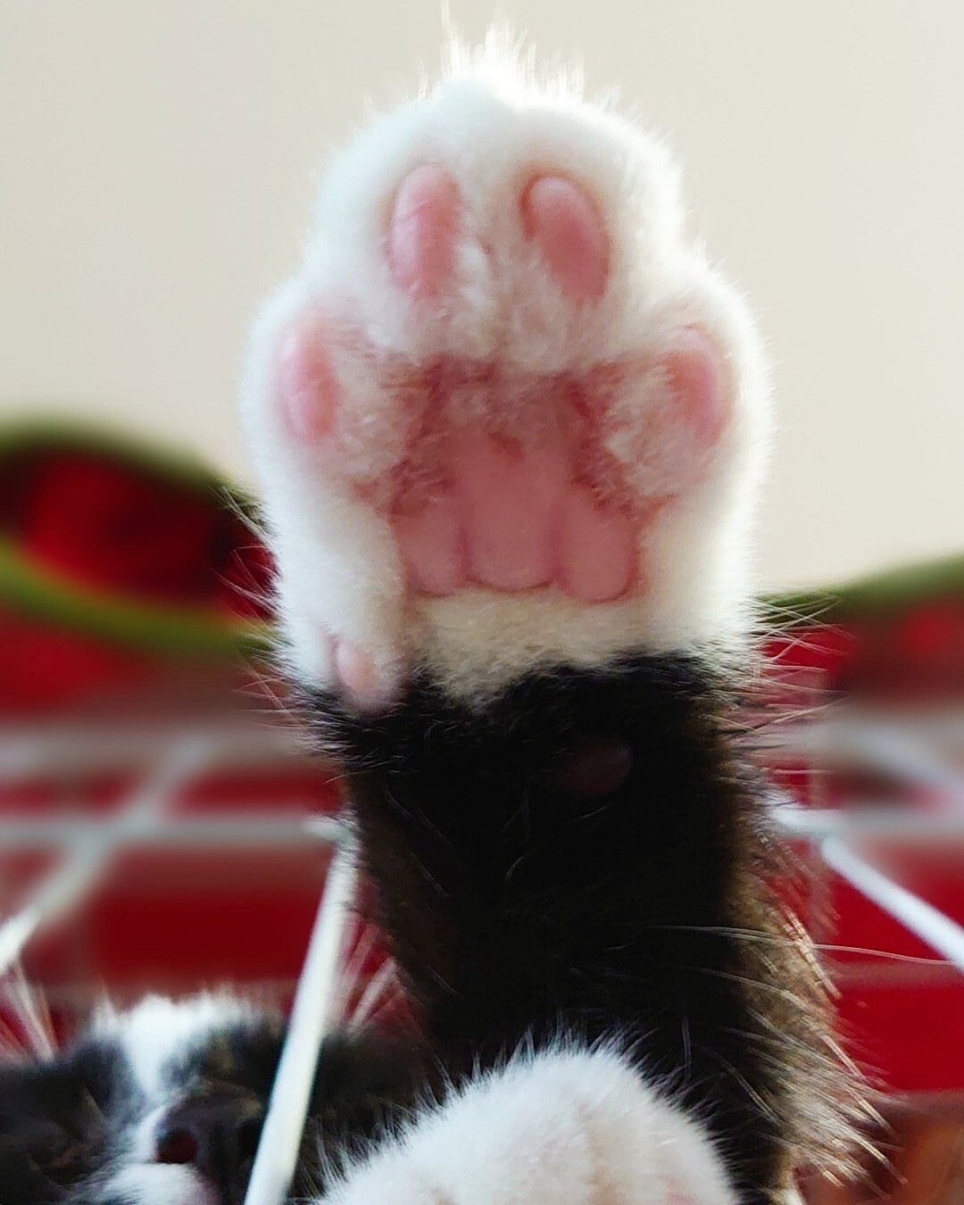 ka-2のページ | YAMAP / ヤマップ