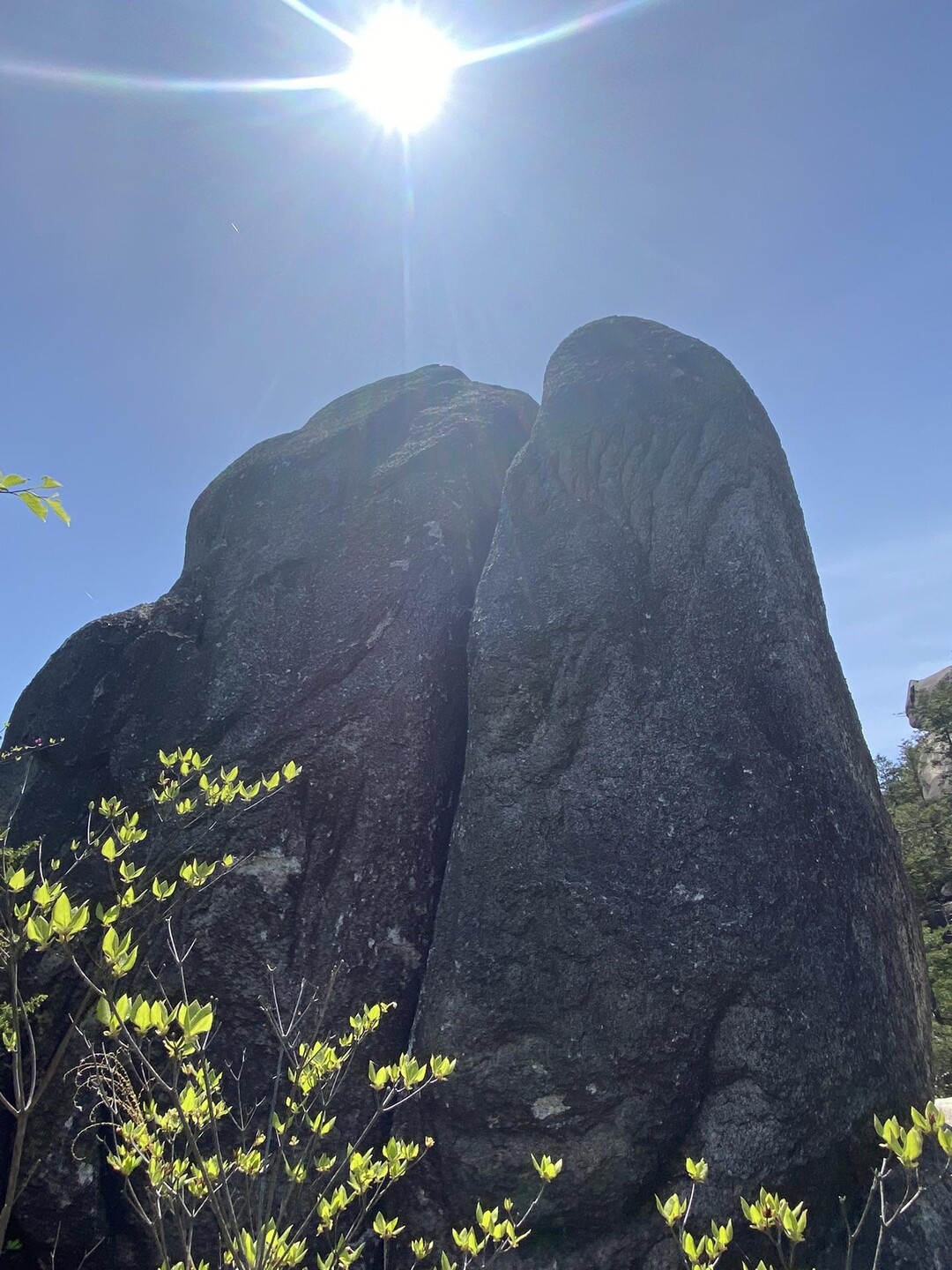 天狗岩 / 遼7kgさんの金勝アルプス（鶏冠山・竜王山）の活動データ | YAMAP / ヤマップ