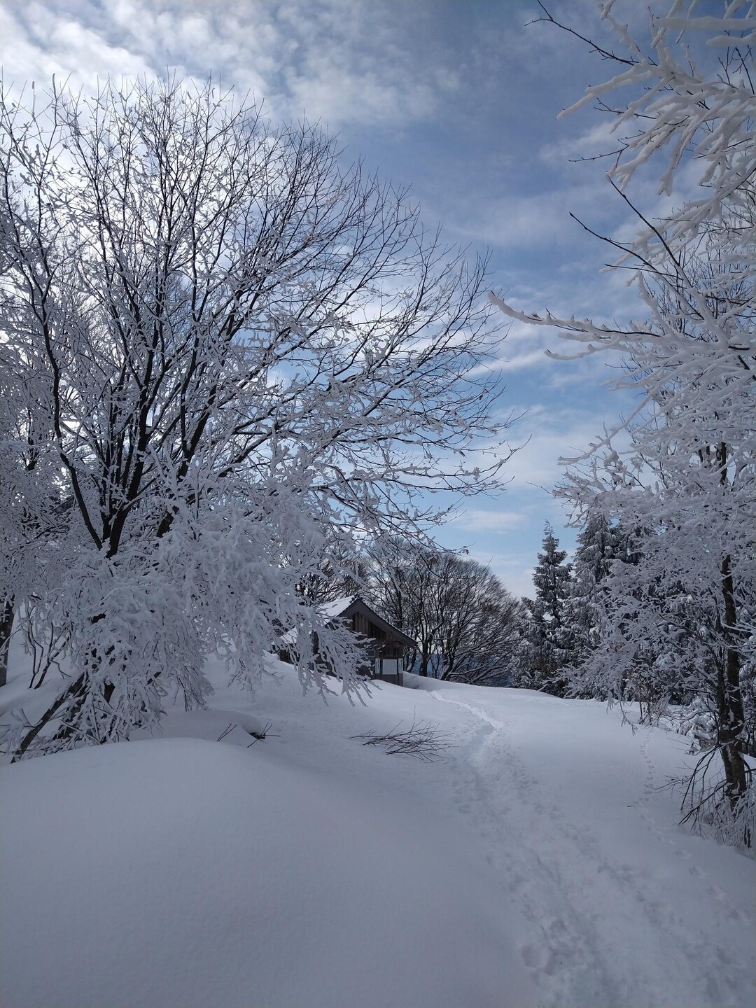 日野山 荒谷コース / ryuji_taketan18さんの日野山の活動データ | YAMAP / ヤマップ