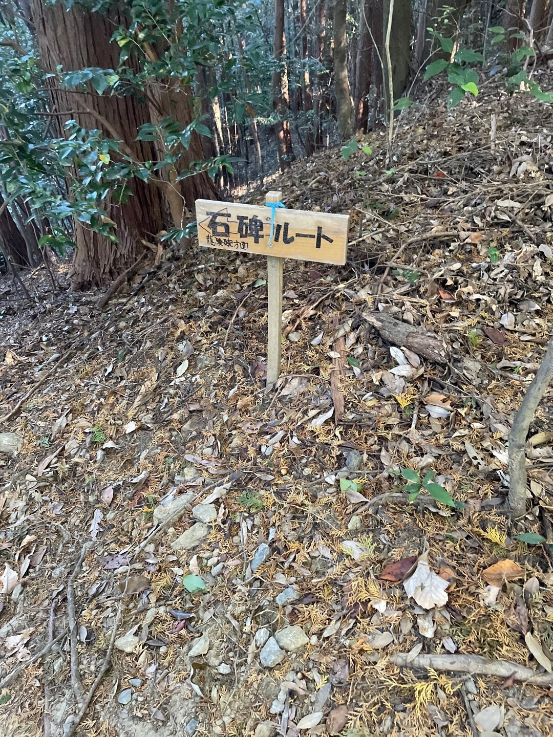 村積山から岡崎SAフラットパークでのランチ / ホットマンさんの村積山の活動データ | YAMAP / ヤマップ