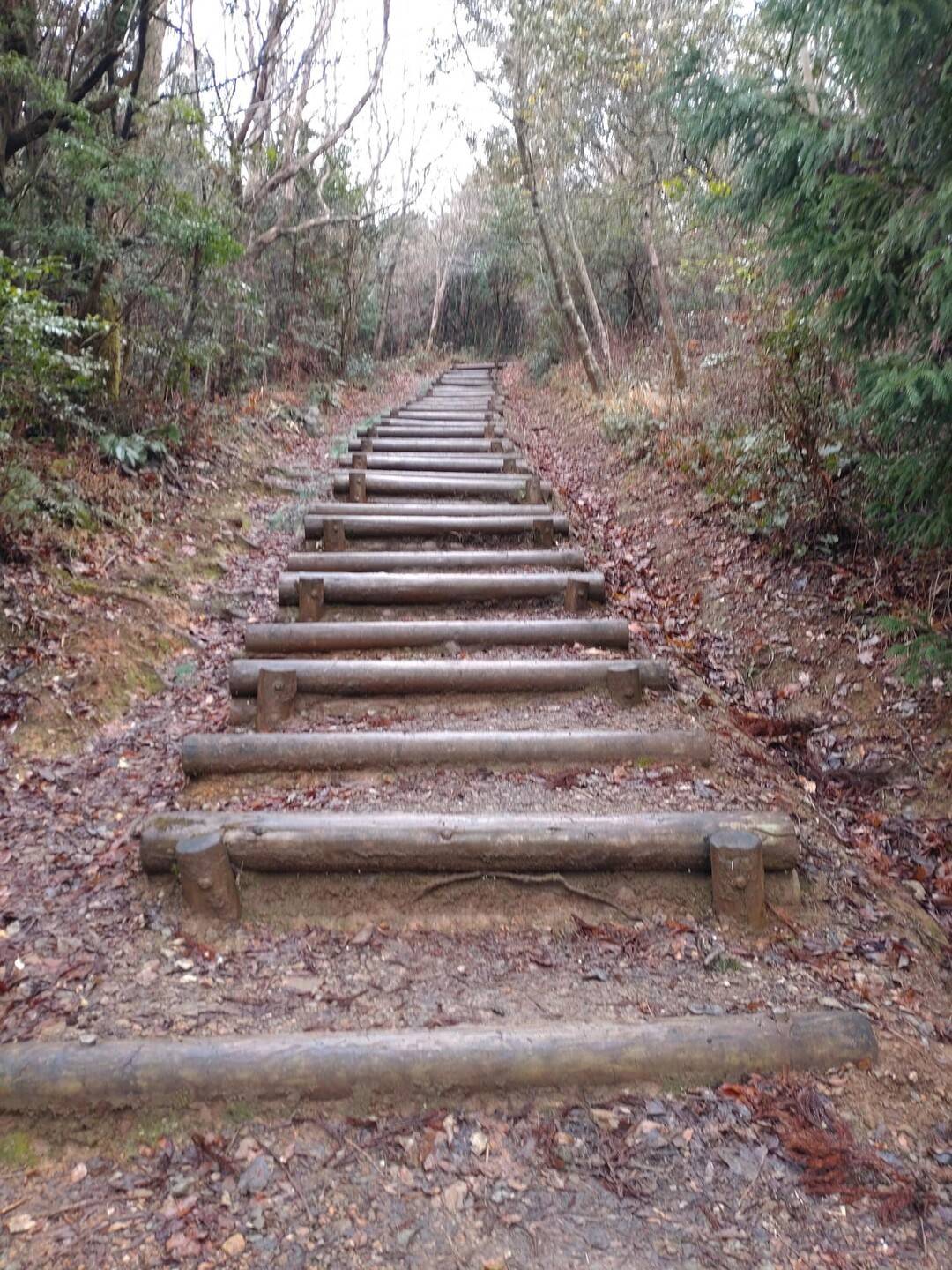 東鳳翩山 / emu626さんの東鳳翩山・西鳳翩山・鴻ノ峰の活動データ | YAMAP / ヤマップ