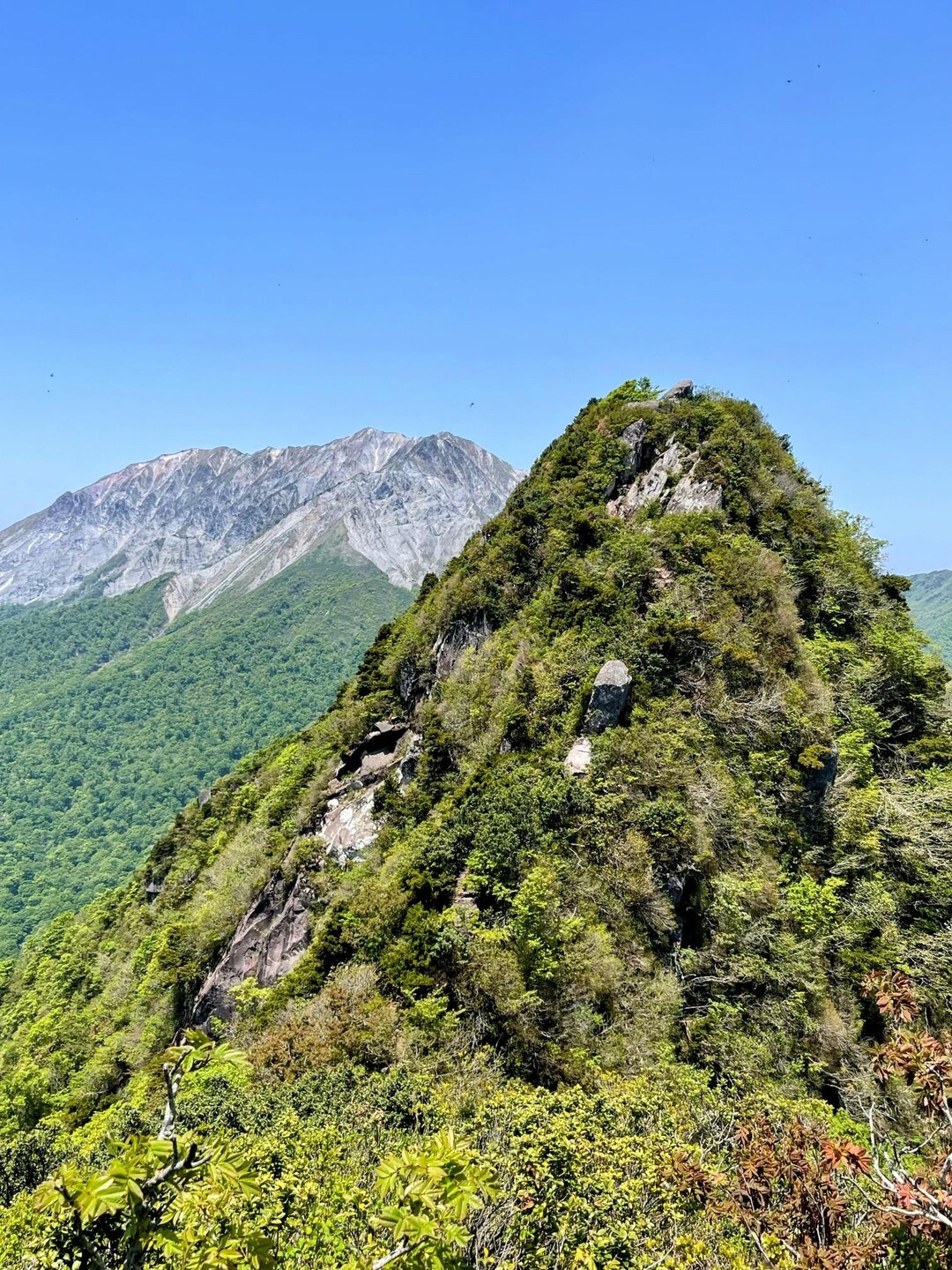 烏ヶ山 / maimさんの烏ヶ山・象山（笹ヶ峰）の活動データ | YAMAP / ヤマップ