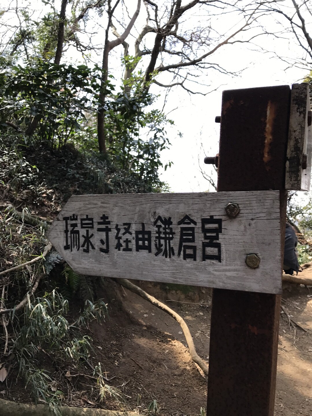 ボッチ鎌倉。鎌倉アルプスを行く。 / 鎌倉市の写真34枚目 / 正解な道を歩く。娘②と待ち合わ場所を確認 | YAMAP / ヤマップ