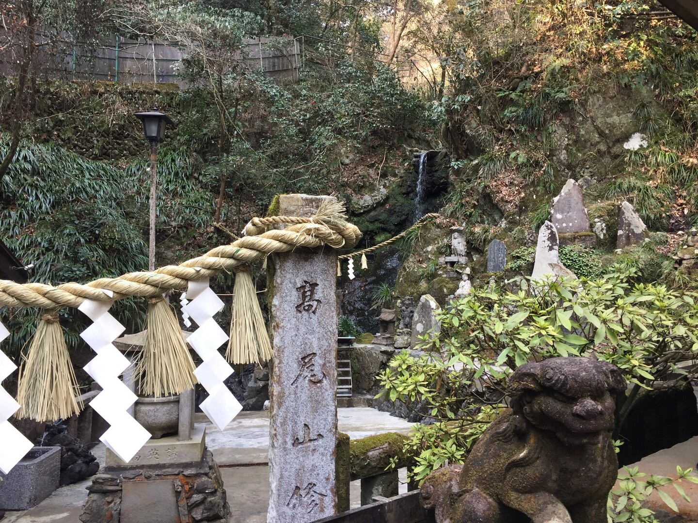 高尾山 / さるまるさんの高尾山・陣馬山・景信山の活動データ | YAMAP / ヤマップ