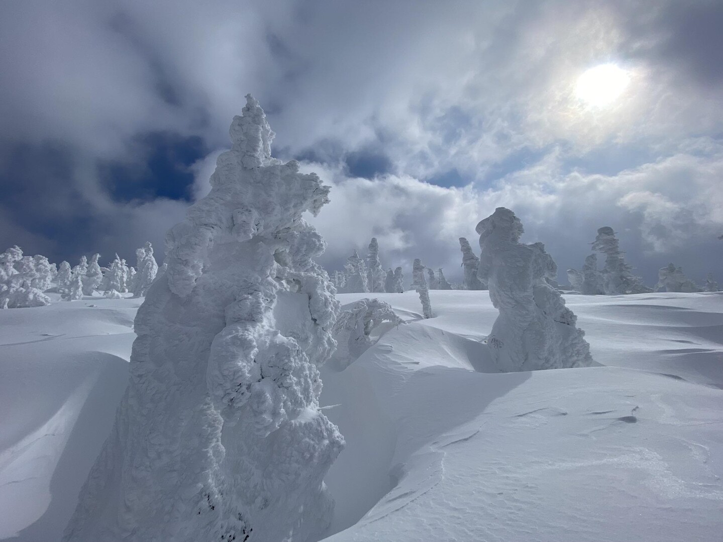 八甲田山BCスキー2023-02-24 / Eddieさんの八甲田山・高田大岳・雛岳の活動データ | YAMAP / ヤマップ