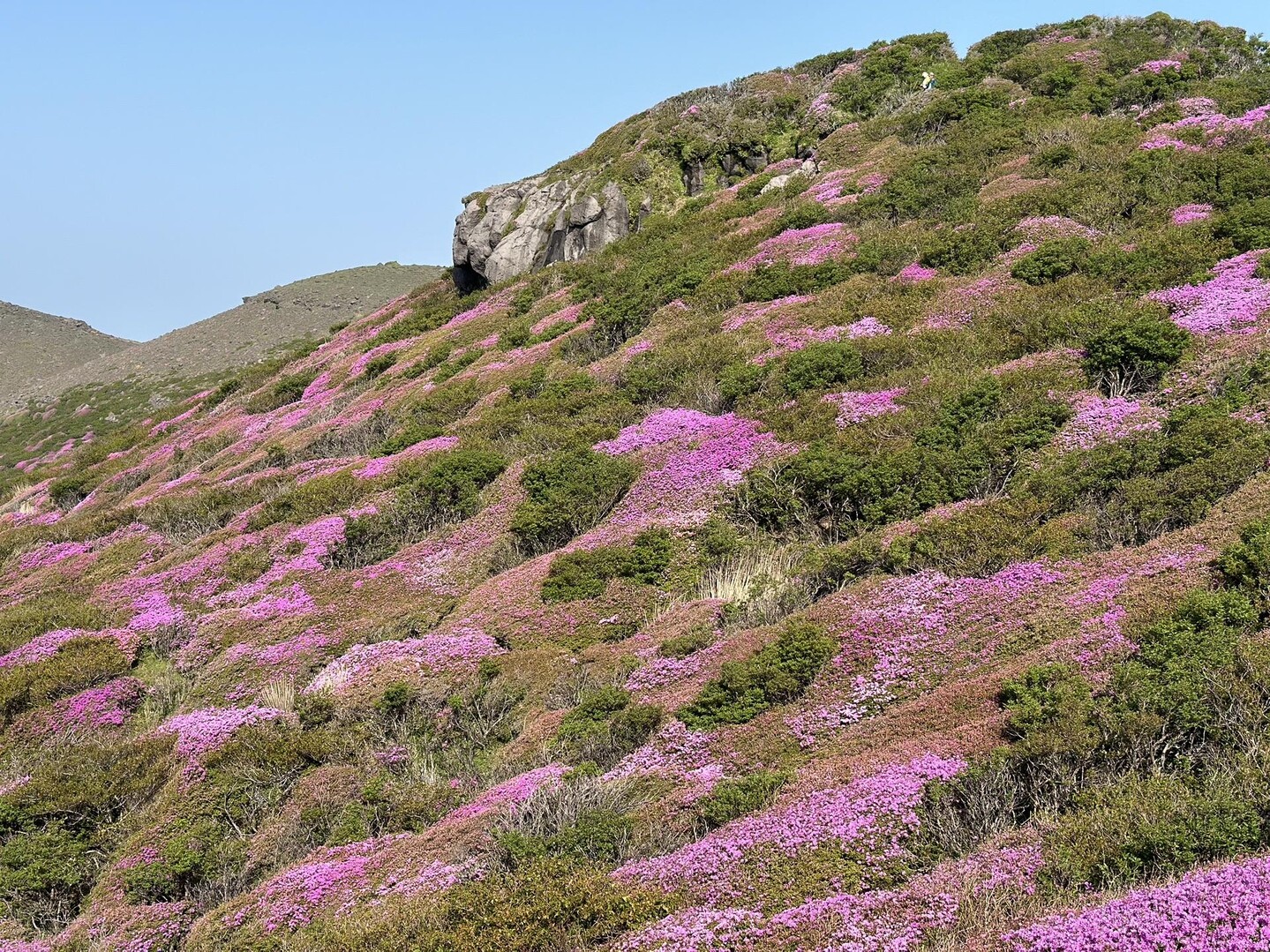 MK最高 南岳・中岳・高岳2024.5.25 / きゅんさんの阿蘇山・高岳・根子岳の活動日記 | YAMAP / ヤマップ