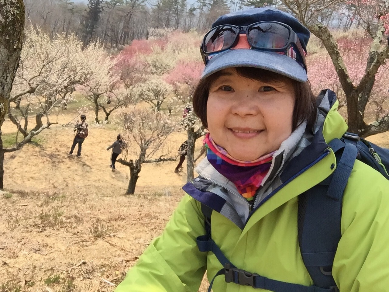 山girl Megのページ | YAMAP / ヤマップ