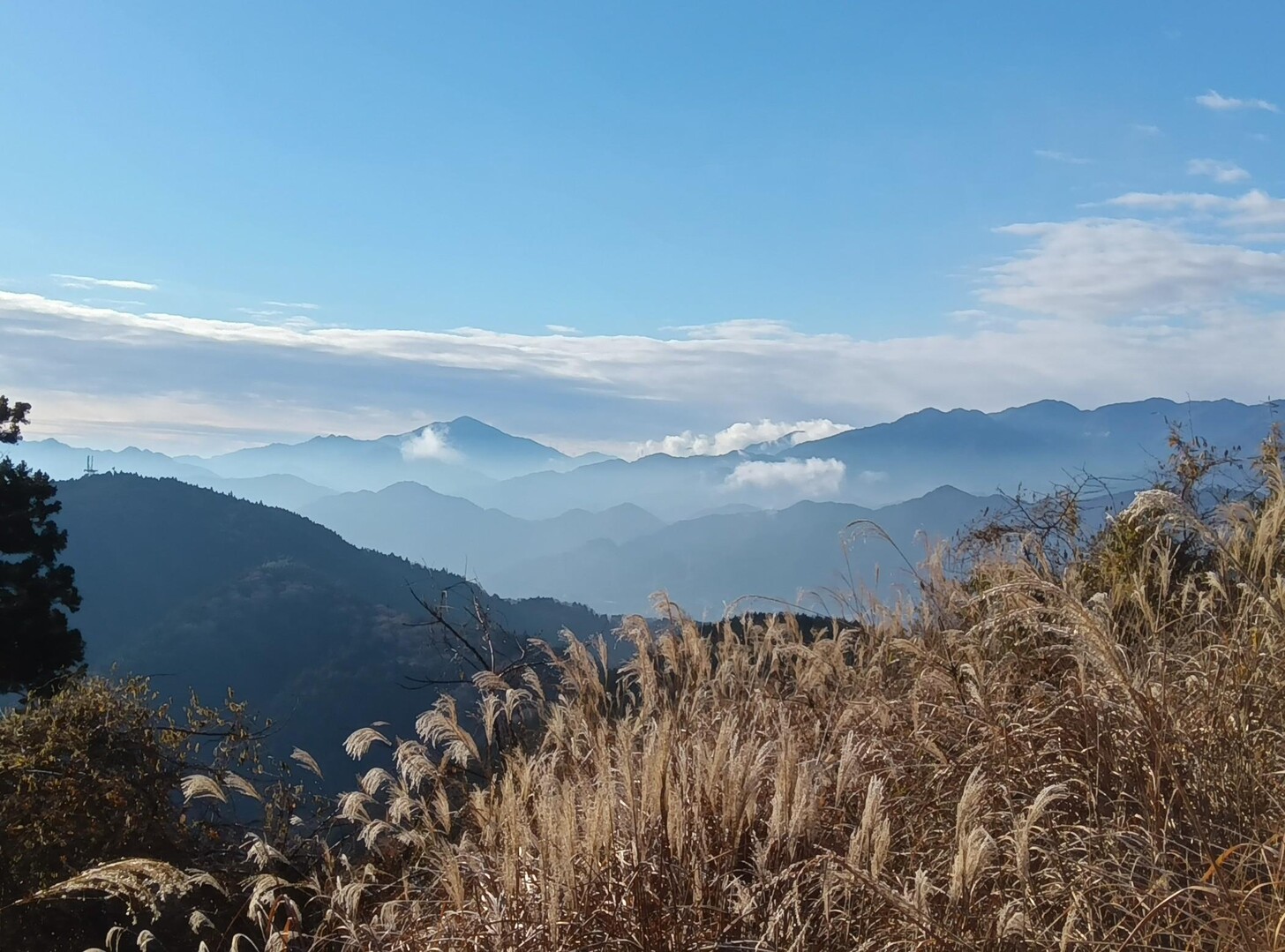 478m圏峰・大久保山・景信山・小仏城山・高尾山 / ねぎまさんの高尾山・陣馬山・景信山の活動データ | YAMAP / ヤマップ