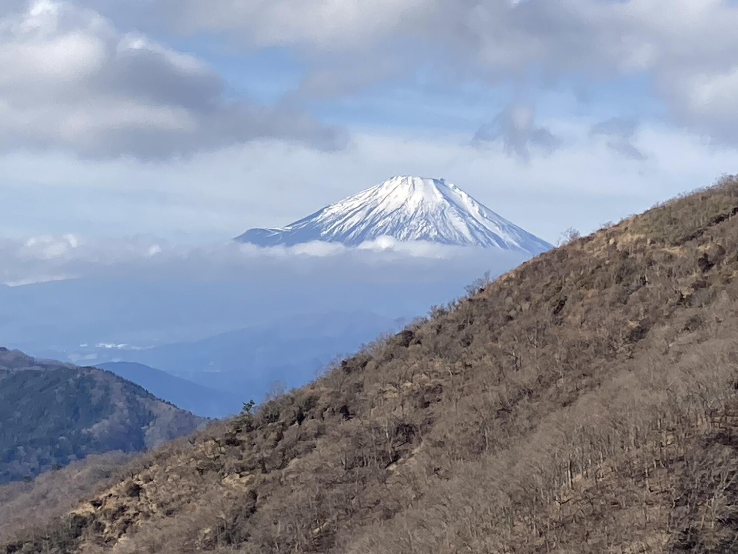 堀山・塔ノ岳 / west.topさんの塔ノ岳・丹沢山・蛭ヶ岳の活動データ | YAMAP / ヤマップ