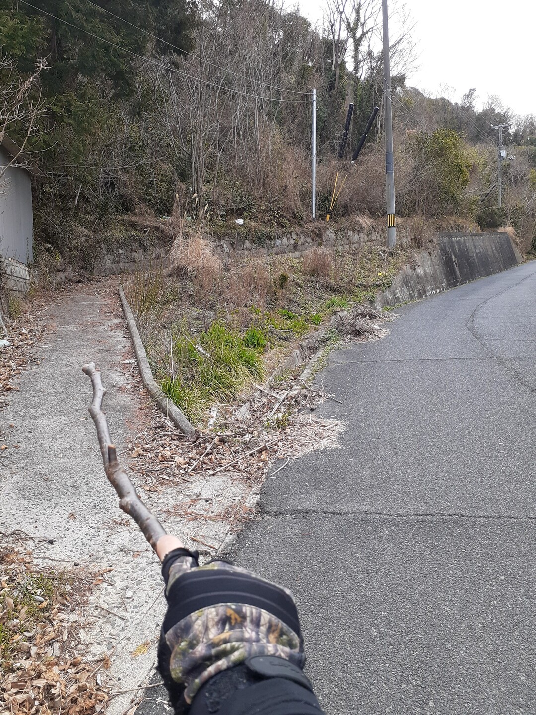 DSHさんの投稿したフィールドメモ | YAMAP / ヤマップ