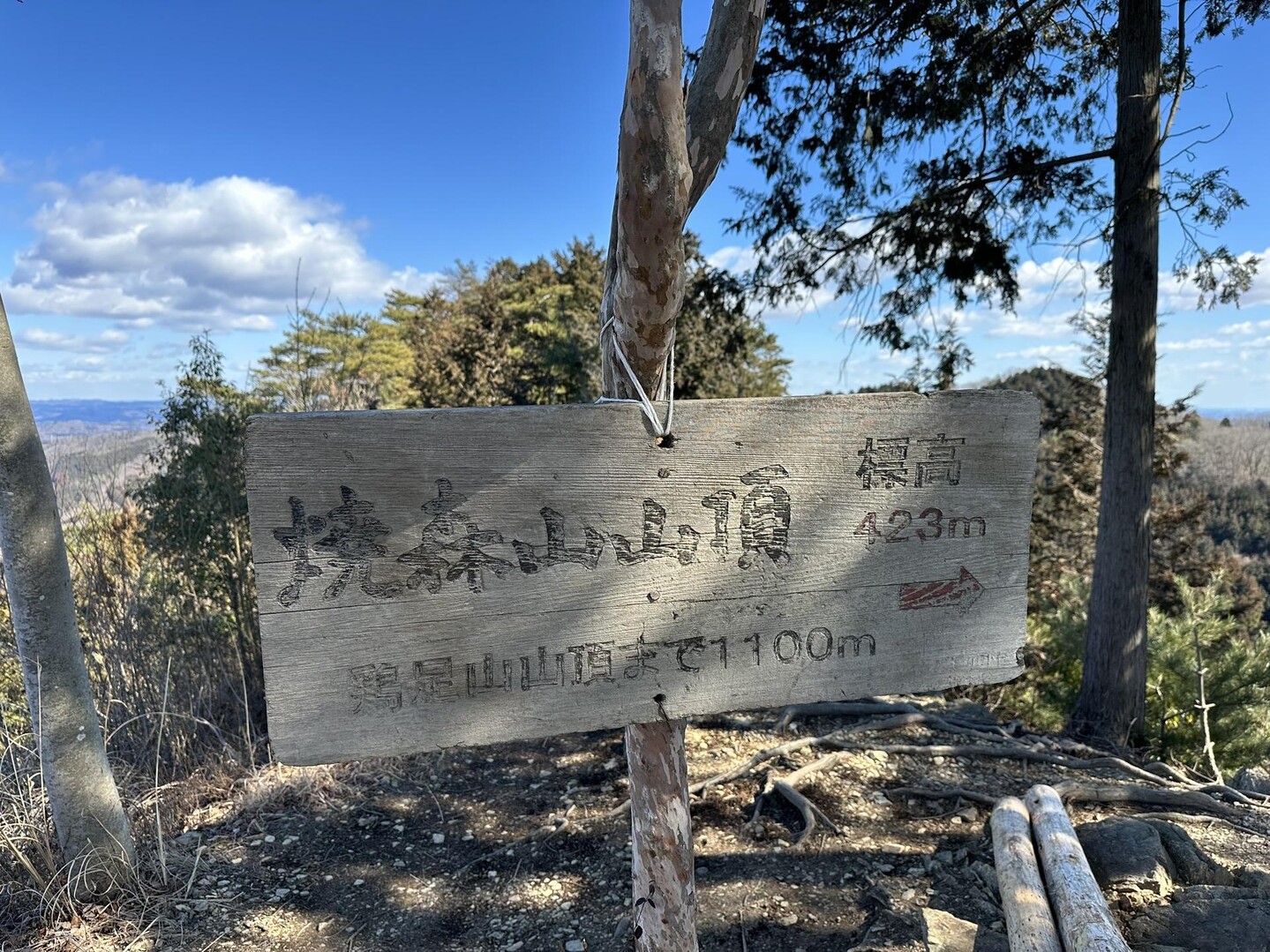 赤沢富士・鶏足山・焼森山 / ko-jiさんの焼森山・鶏足山の活動データ | YAMAP / ヤマップ