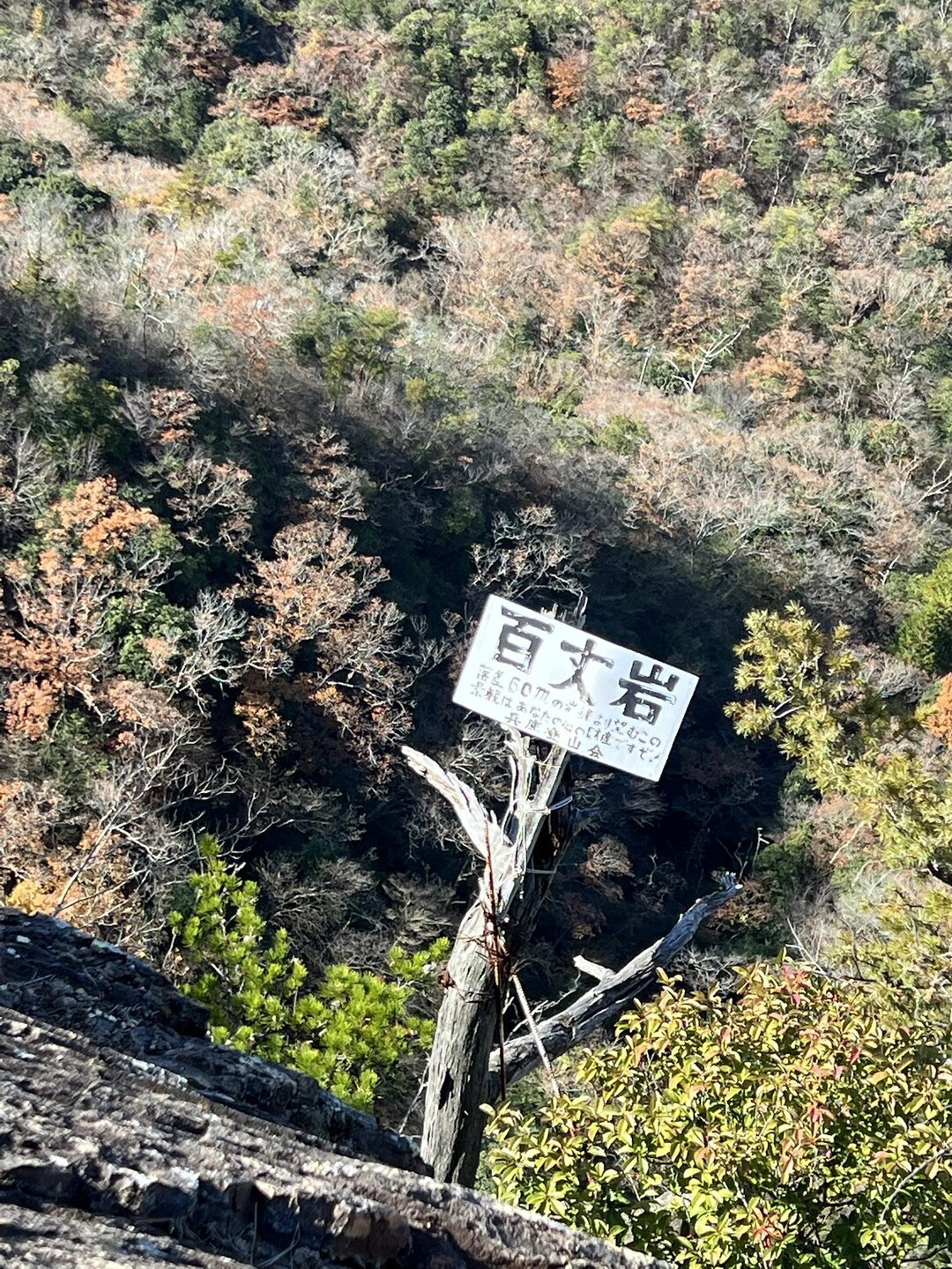 百丈岩 / sachiさんの百丈岩・鎌倉峡の活動データ | YAMAP / ヤマップ