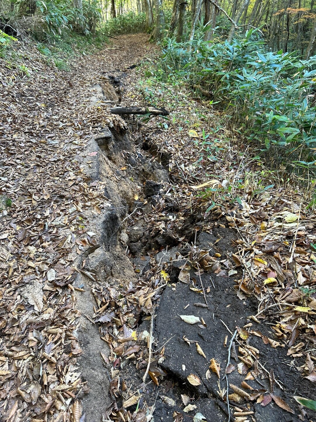 ⛰️T−YO⛰️さんの投稿したフィールドメモ | YAMAP / ヤマップ