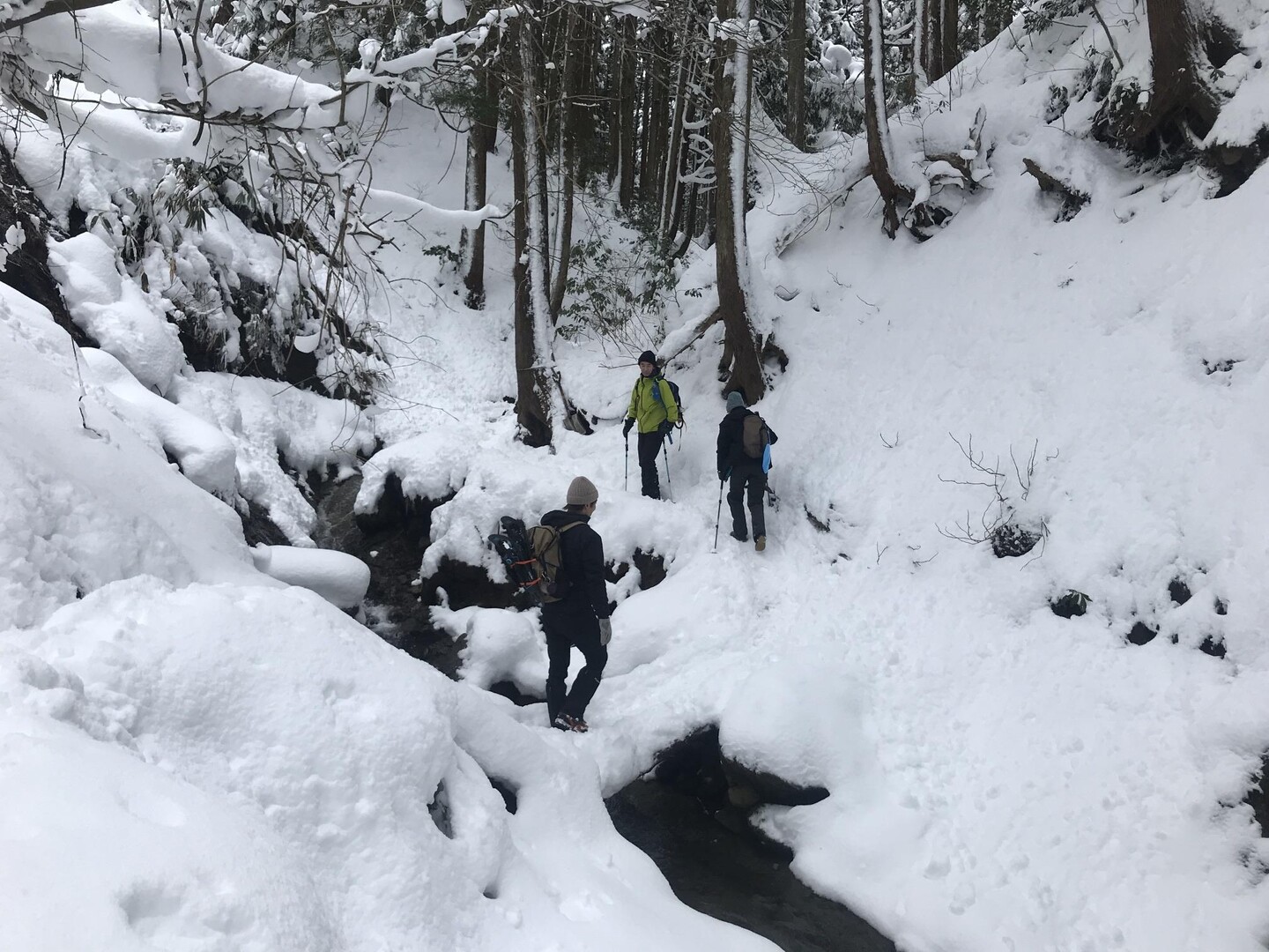 尖山 / リスさんの尖山の活動データ | YAMAP / ヤマップ