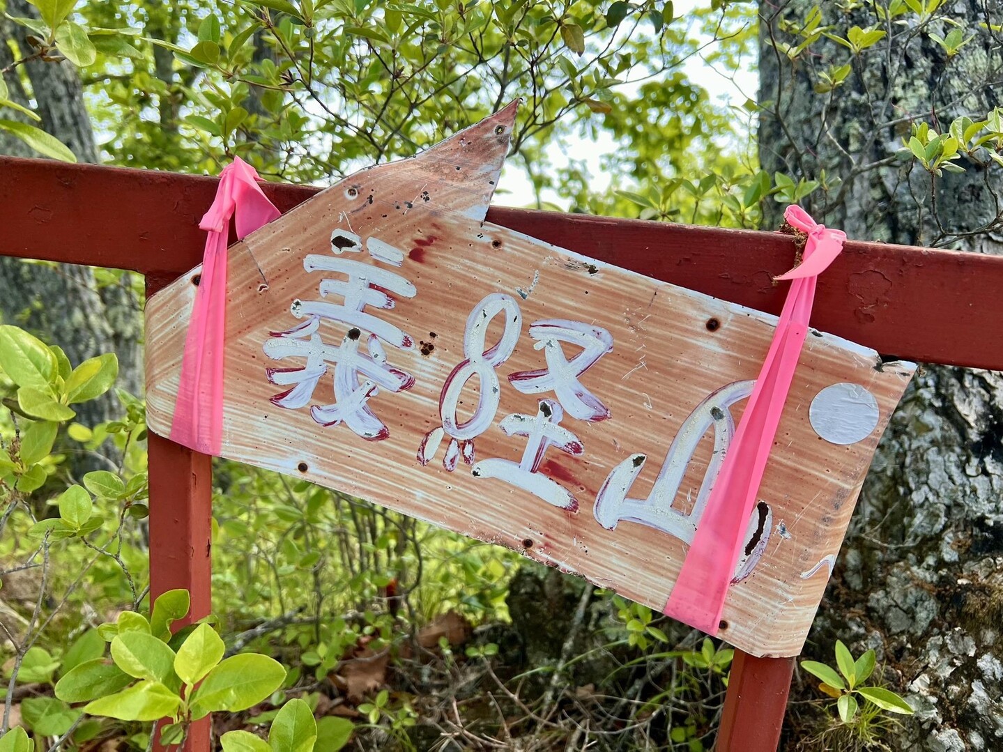 義経山⛰️ その後は....熊🐻 / miyukiさんのウコタキヌプリの活動データ | YAMAP / ヤマップ