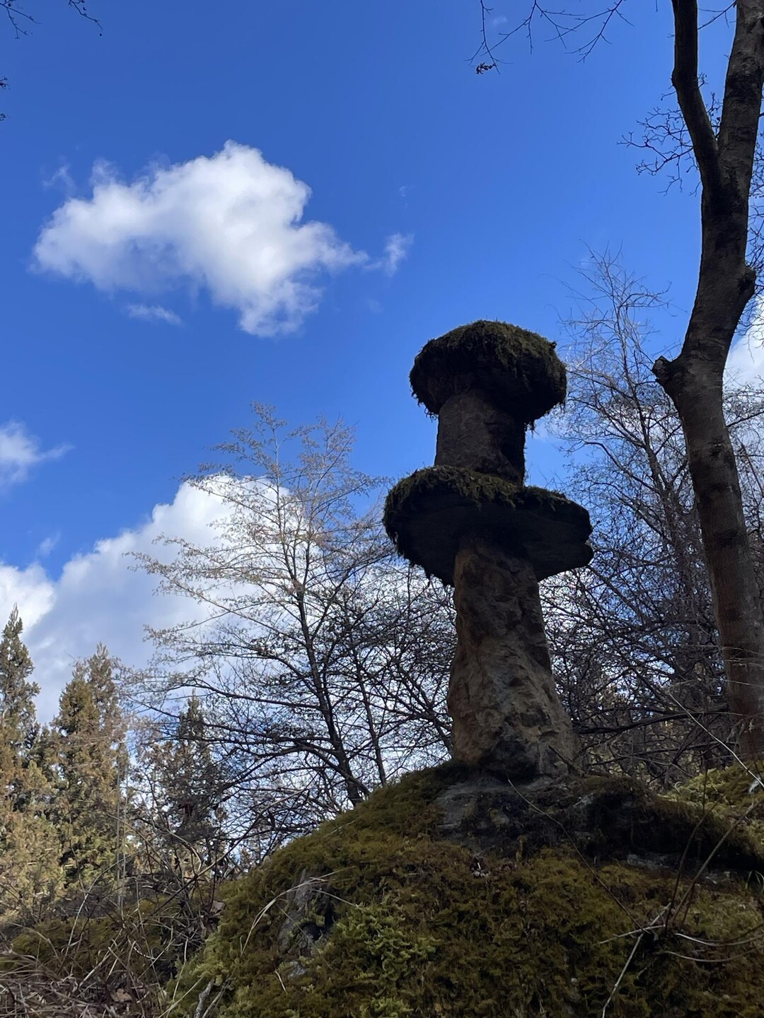 群馬100名山⛰️小沢岳 / akkoさんの桧沢岳・小沢岳の活動日記 | YAMAP / ヤマップ