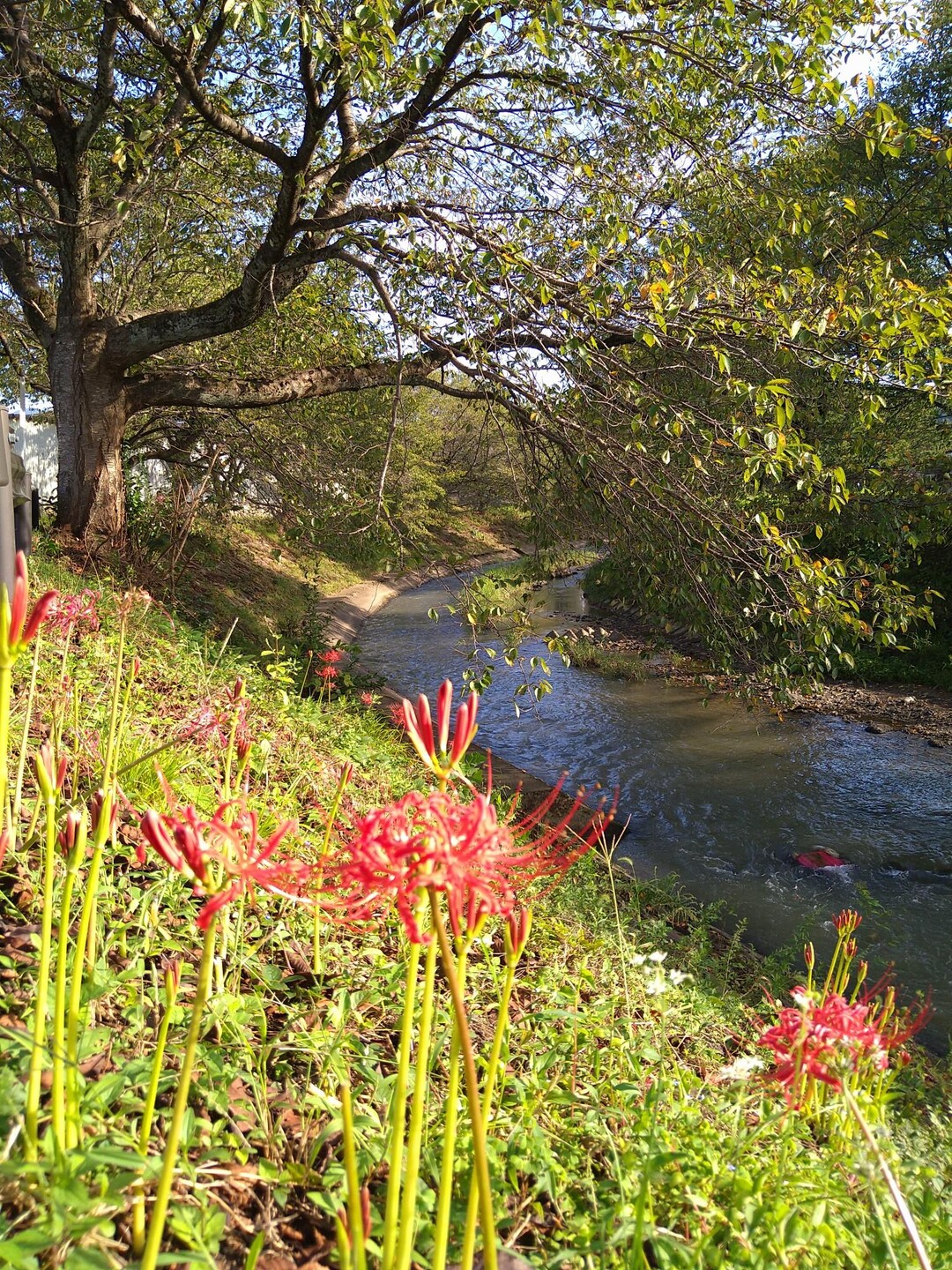 2022.09.26(月) 13:14 / まな( ^‿^)さんのモーメント | YAMAP / ヤマップ