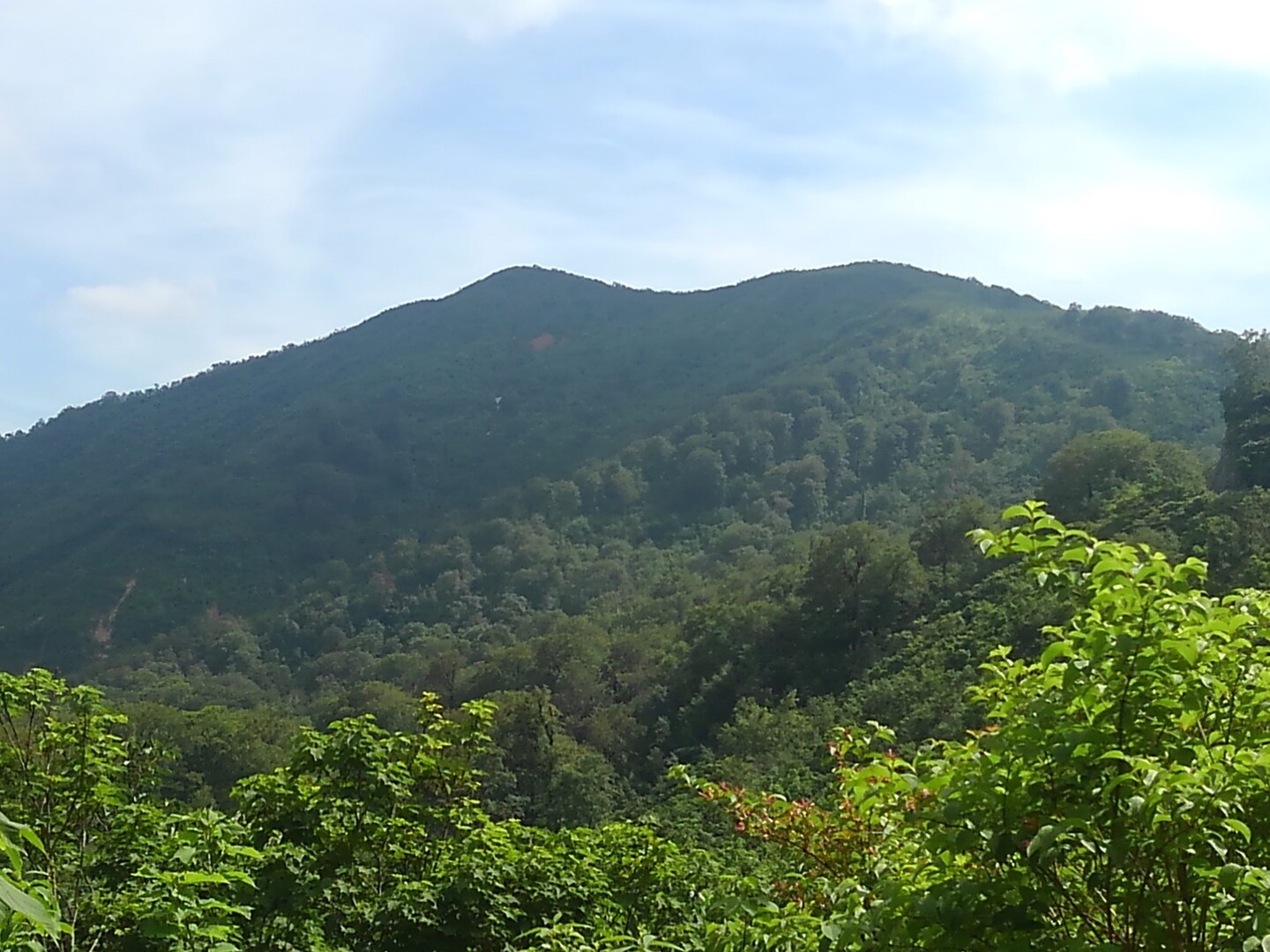 7月初め､林道の雪壁が無くなるのを待って... / gk-cnさんのモーメント | YAMAP / ヤマップ