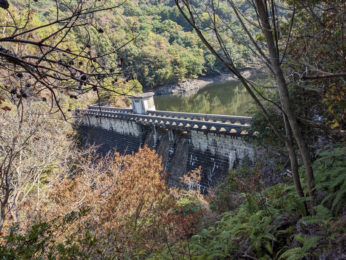 大谷山・茶臼山 / yocchi@さんの虎ヶ岳・烏帽子岳・茶臼山の活動データ | YAMAP / ヤマップ