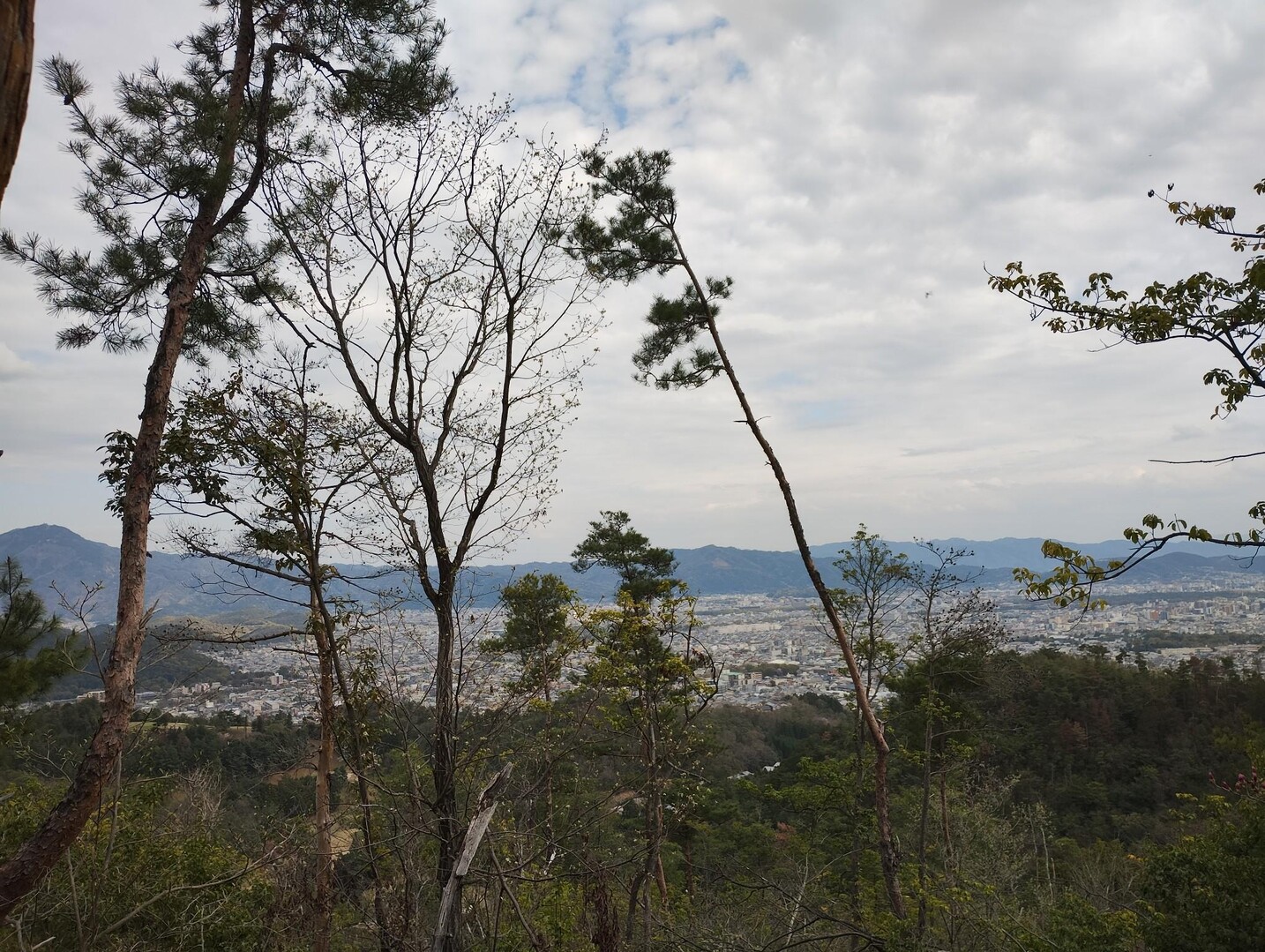 京都一周トレイル#2 / jackalさんの京都一周トレイルの活動データ | YAMAP / ヤマップ