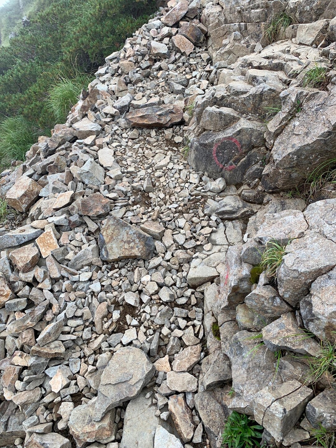 genchさんの投稿したフィールドメモ | YAMAP / ヤマップ