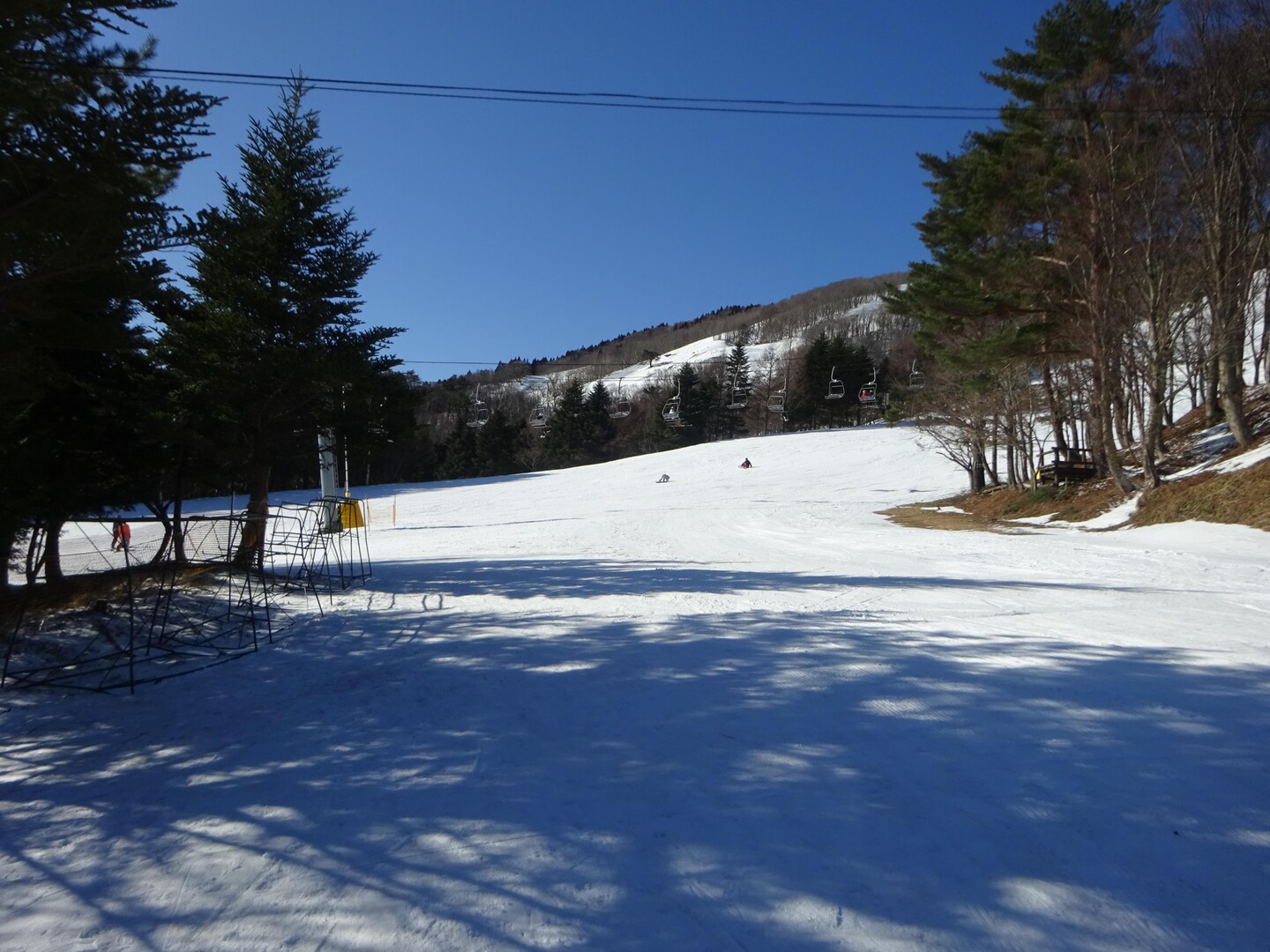恐羅漢スノーパーク-2024-01-17 / Oysterさんの恐羅漢山の活動データ | YAMAP / ヤマップ