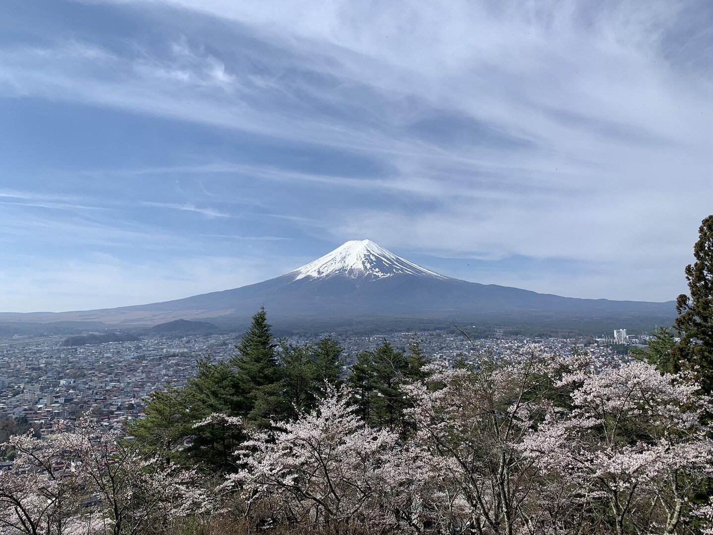 日本の風景🌸新倉山浅間公園から天上山へ / mauna naniさんの三ッ峠山・本社ヶ丸・鶴ヶ鳥屋山の活動日記 | YAMAP / ヤマップ